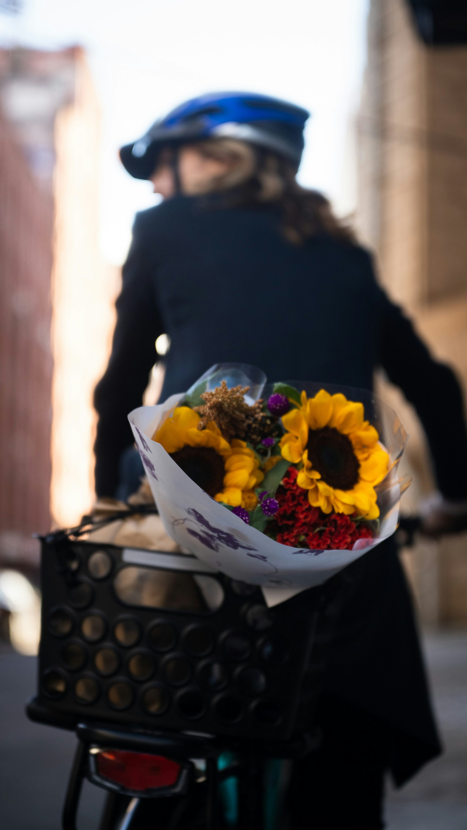 Sunflowers in the City: a bouquet in the bicycle basket