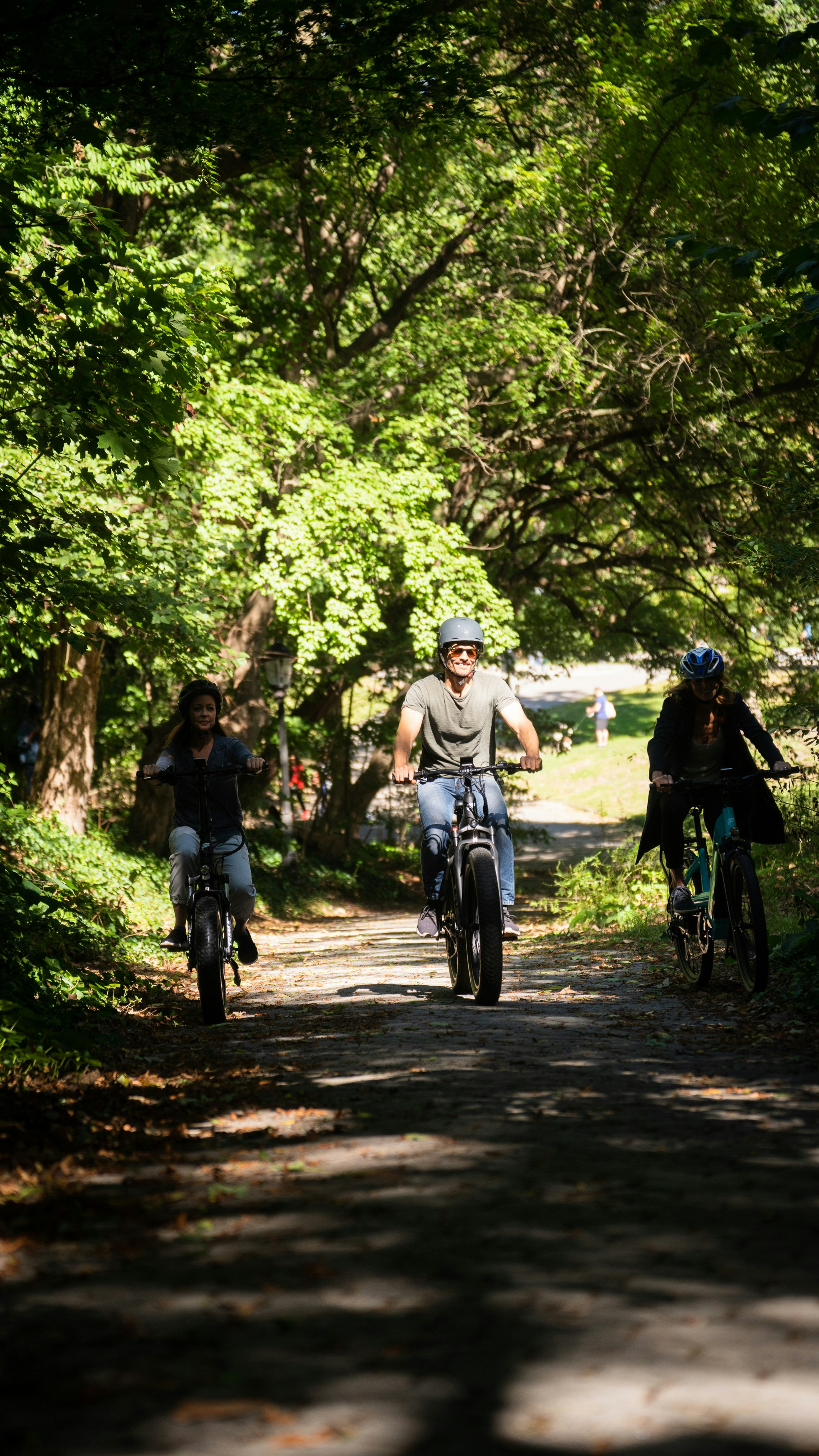 A group of people riding bikes on a path in the woods photo – Free ...