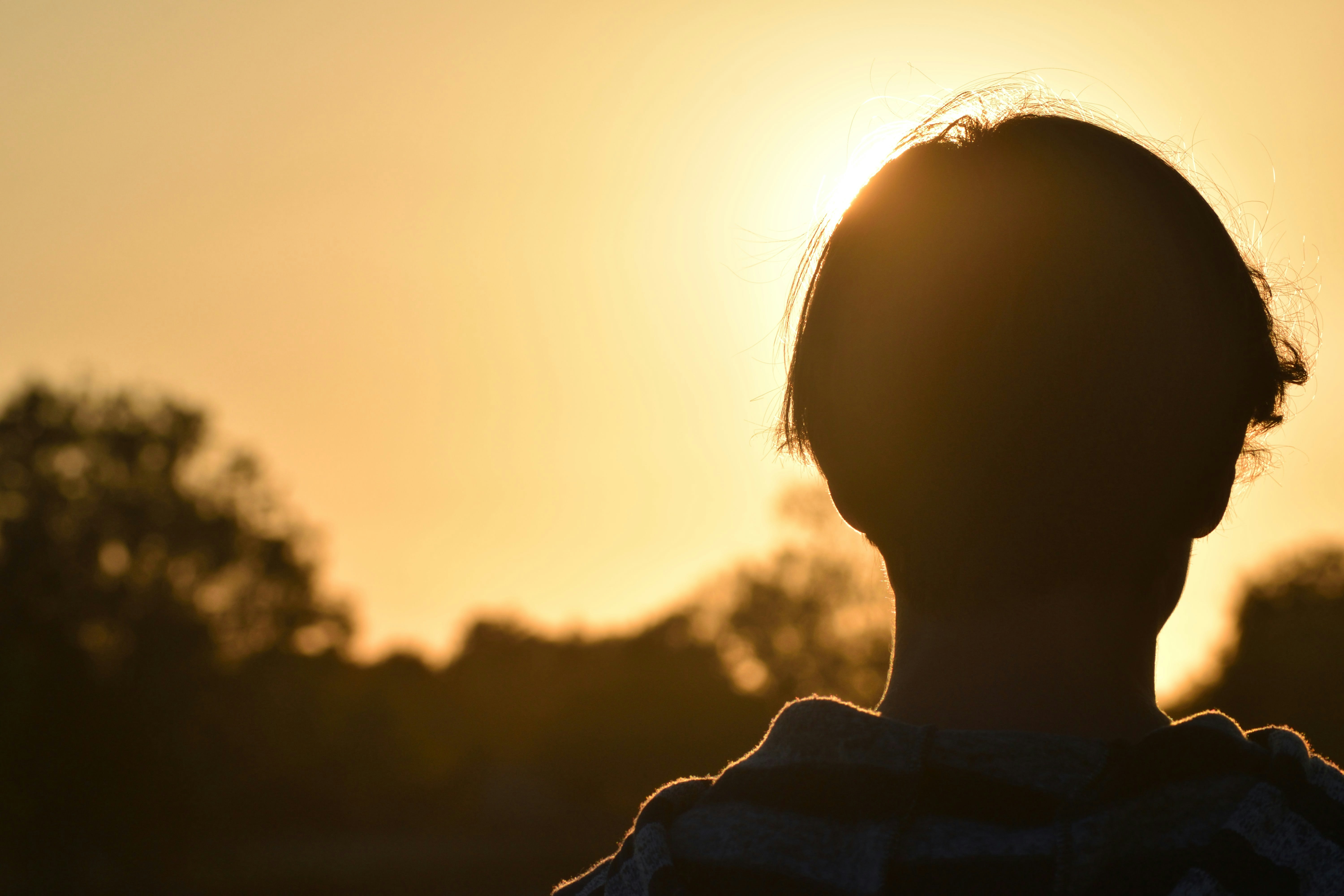 A person looking at the sun photo – Free Backlighting Image on Unsplash