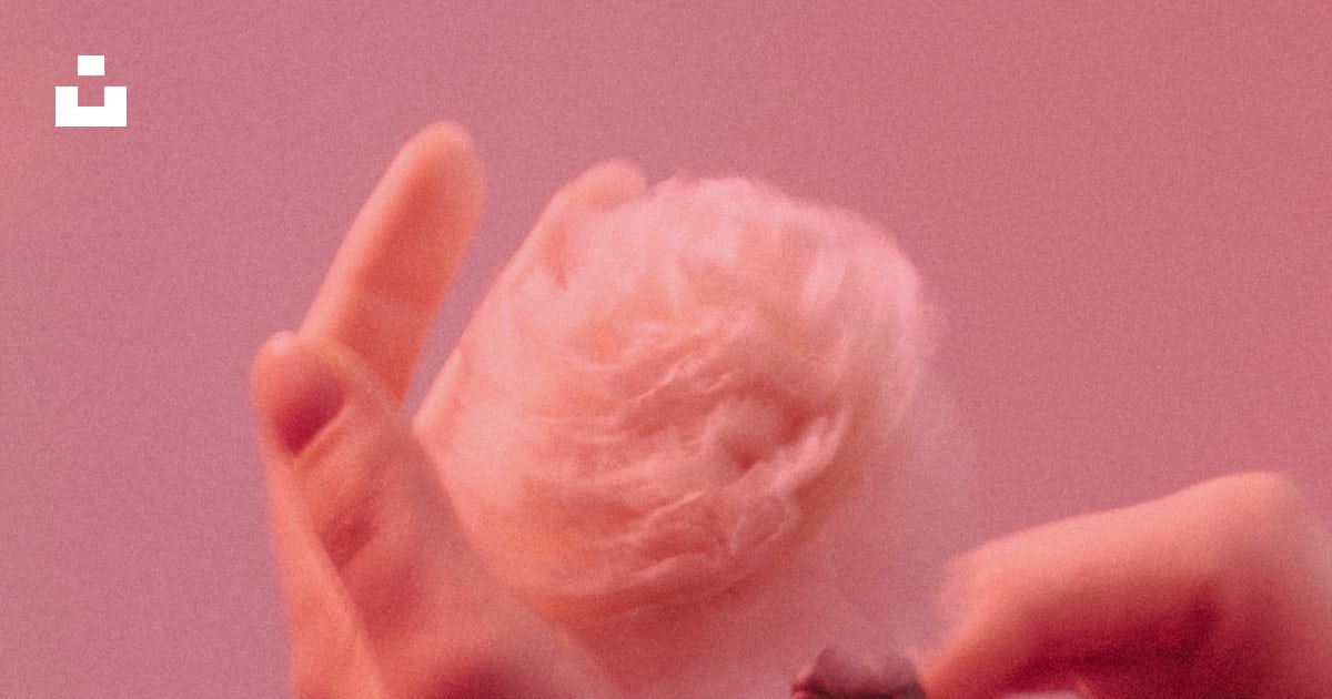 꽃을 들고 있는 손 사진 Unsplash의 무료 꽃 이미지
