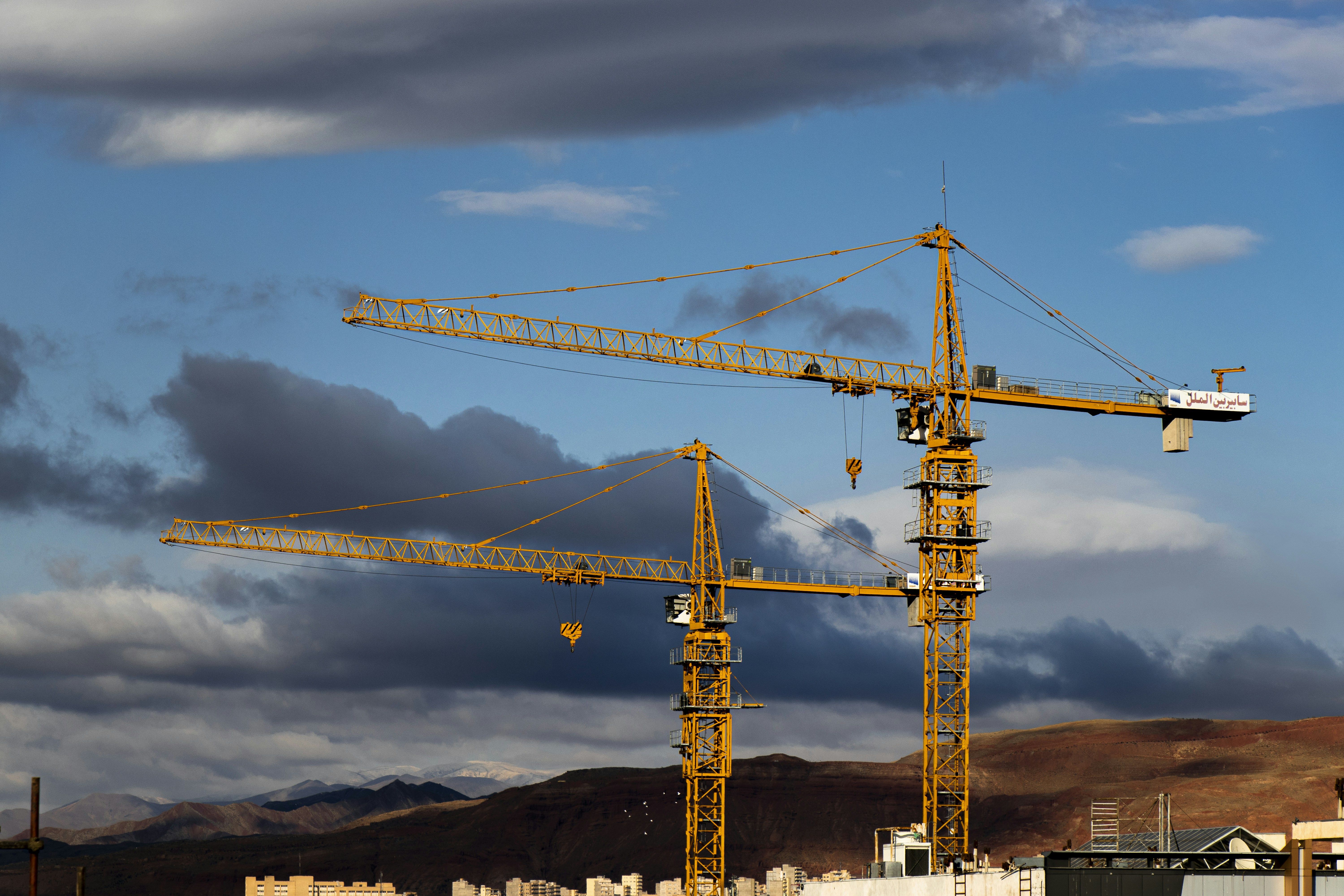 A group of yellow cranes photo – Free Tabriz Image on Unsplash