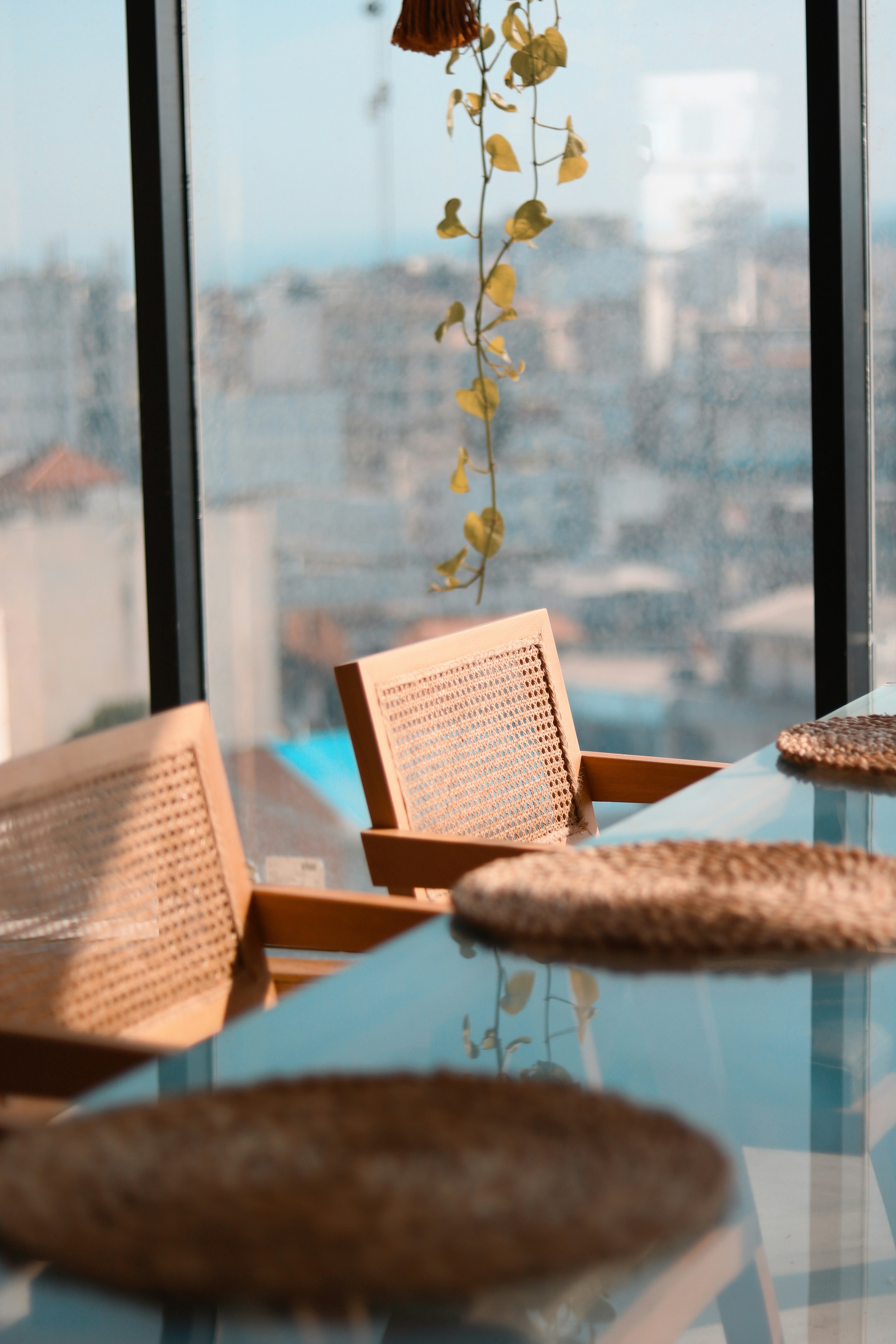 City Window Café: a Hanging Vine Drapes Over Woven Chairs