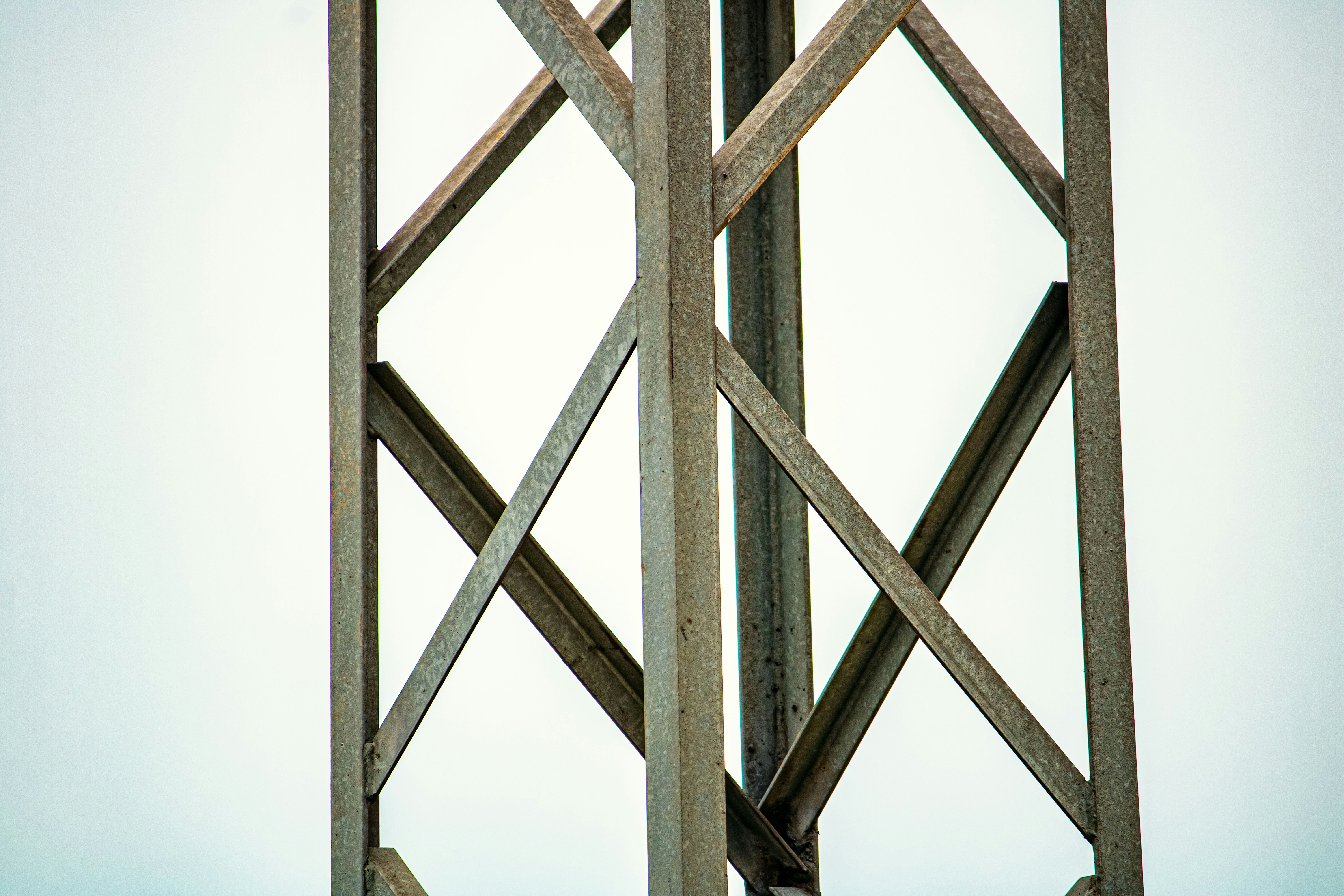 Photo by Ian Talmacs with Canon EOS 2000D