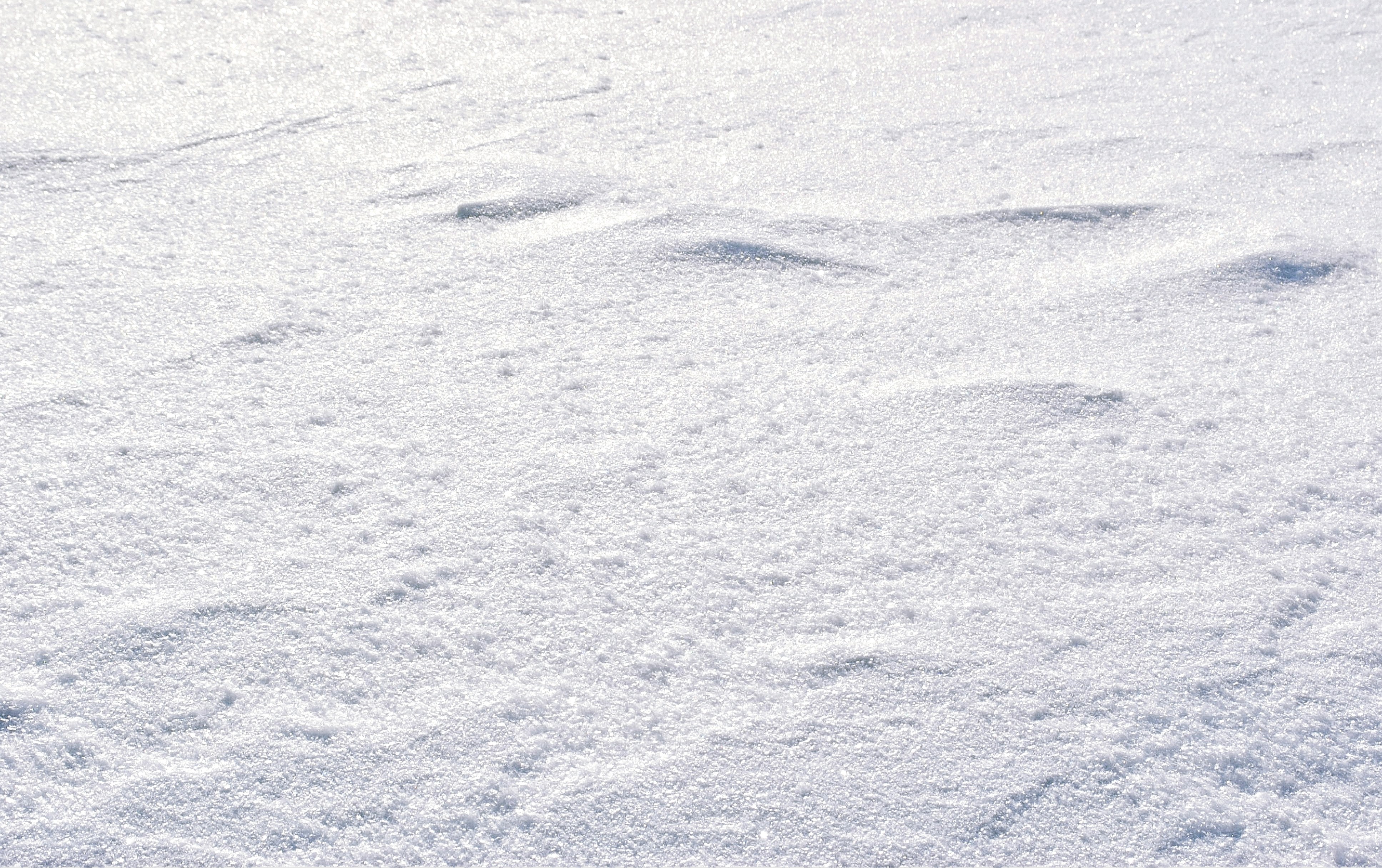 A snow covered ground photo – Free Snow Image on Unsplash
