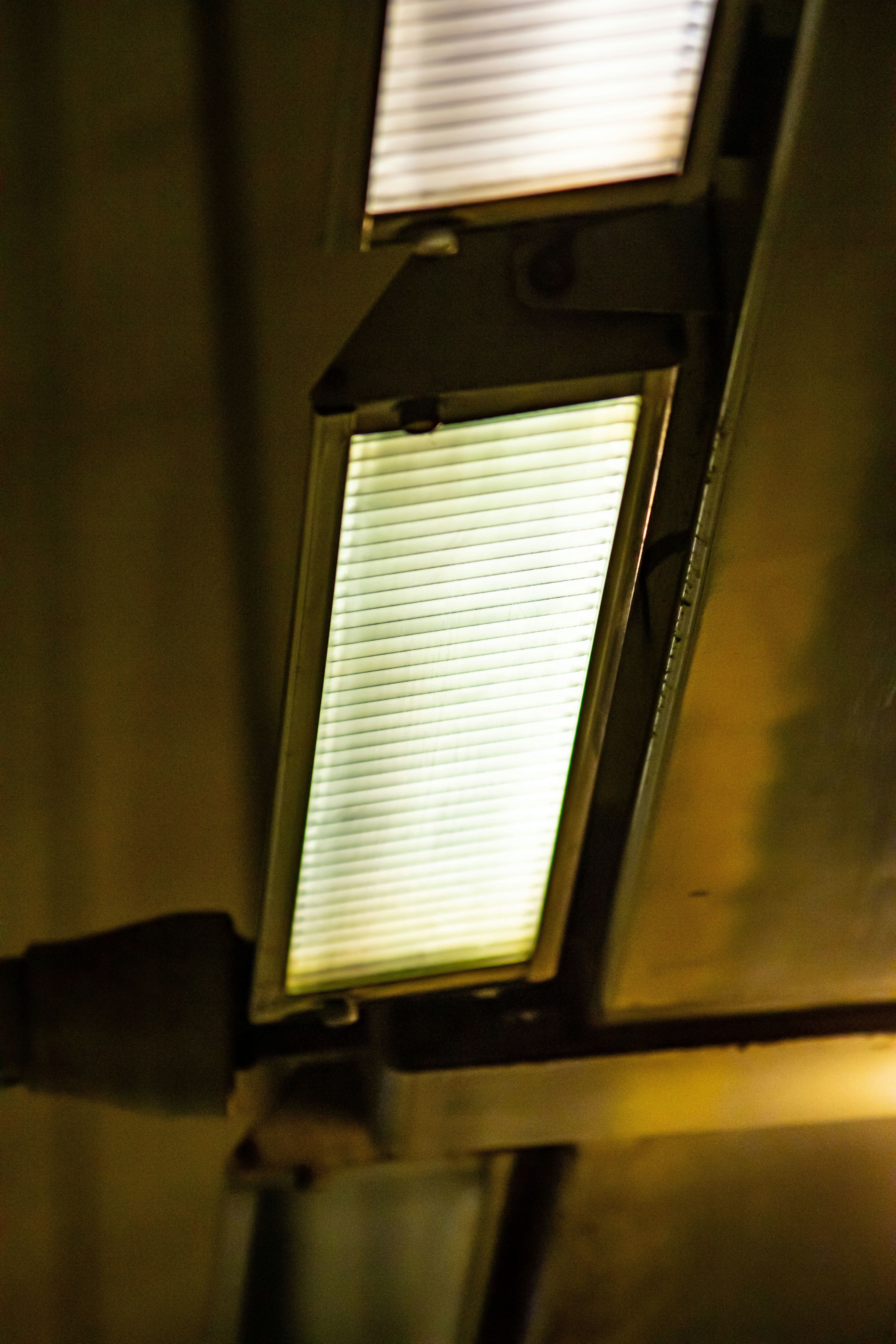 Industrial Light: A Quiet Moment Beneath Fluorescent Skies