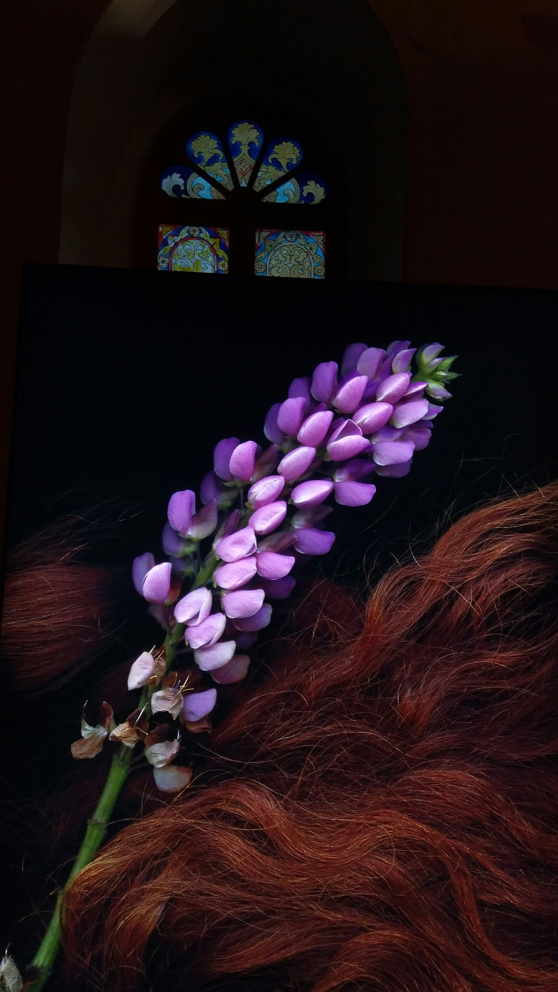 Purple Lupine on Copper Hair Under a Gothic Window