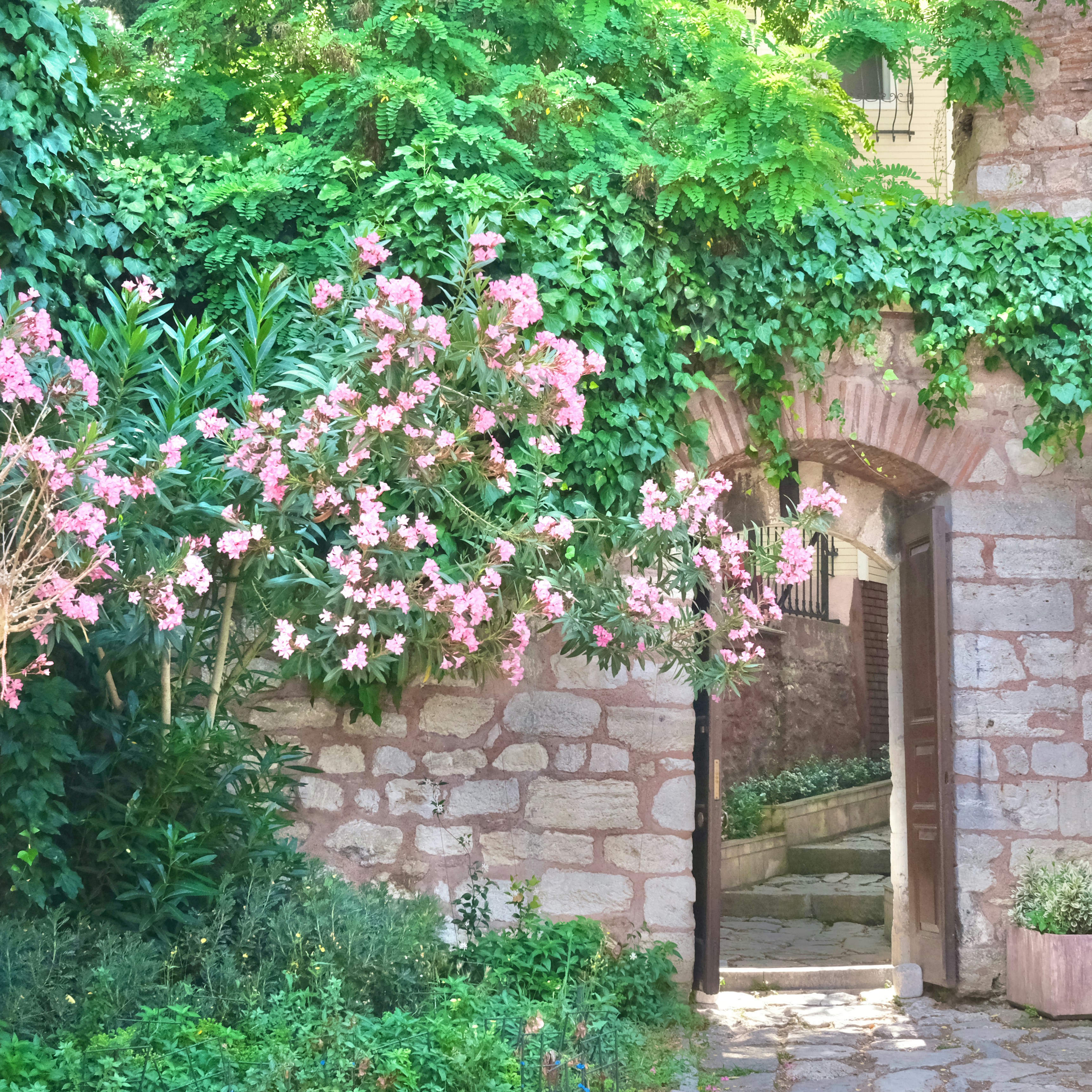 Captured by Kate Branch