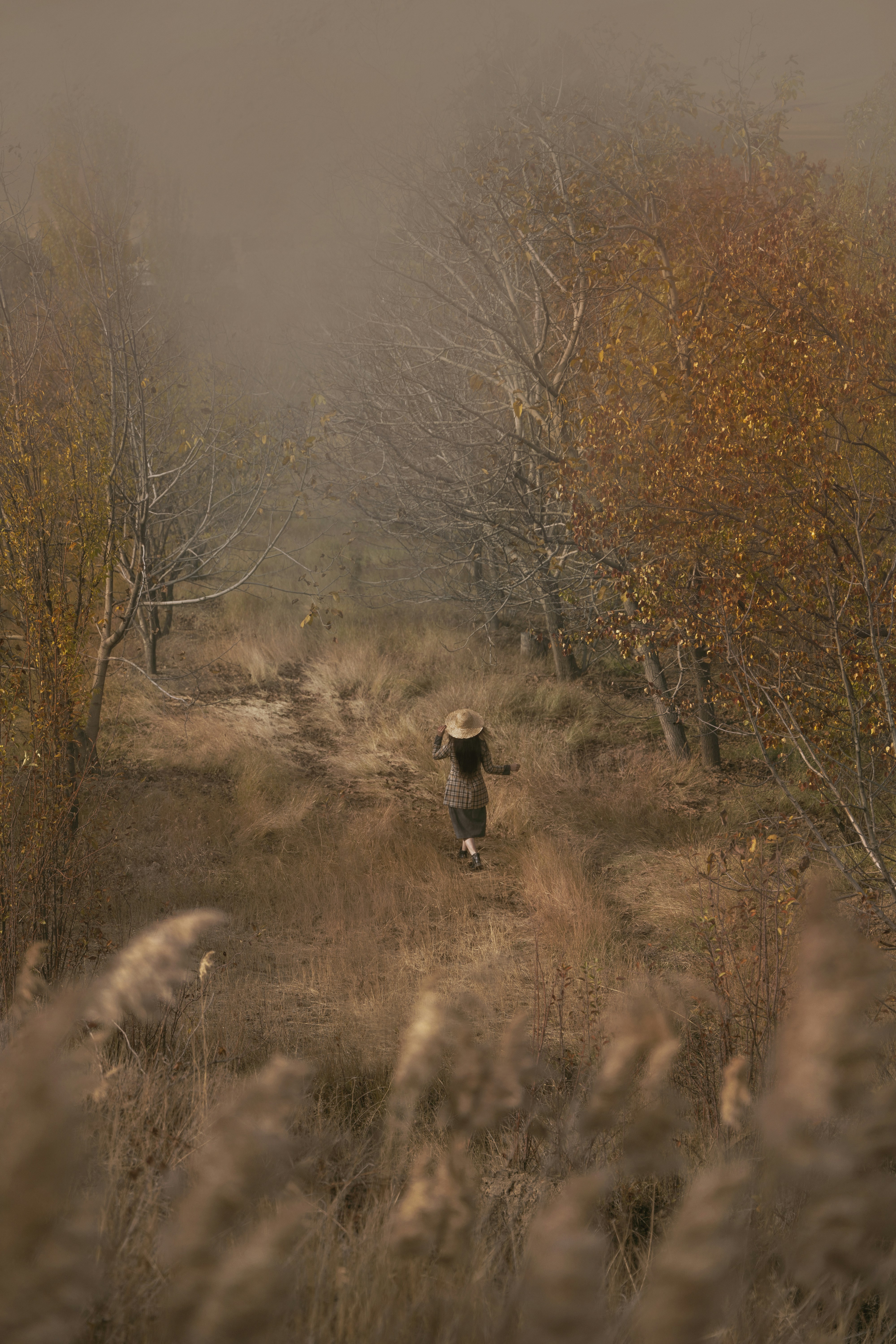 a person walking through a field