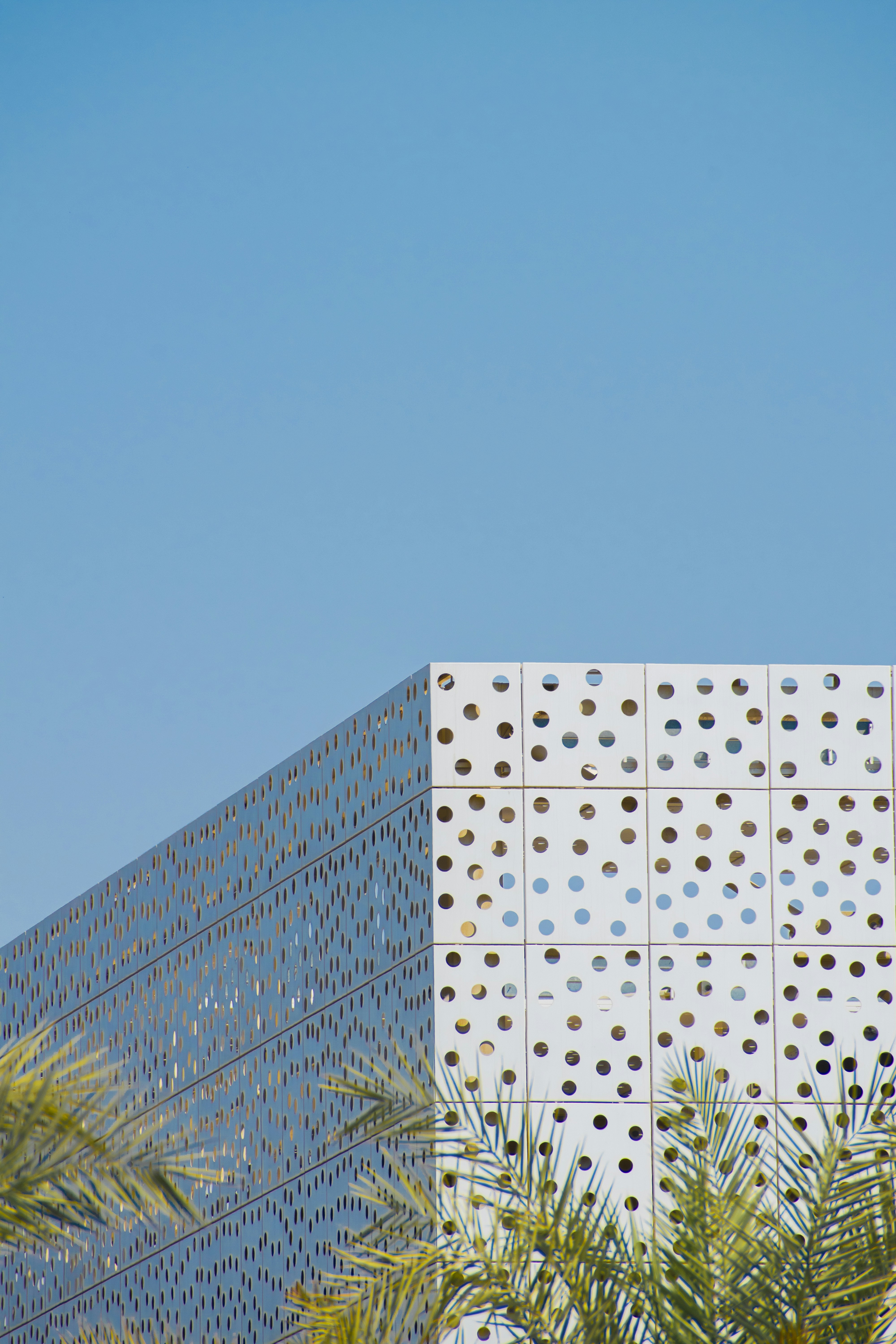 Photo by aboodi vesakaran with Nikon D5600