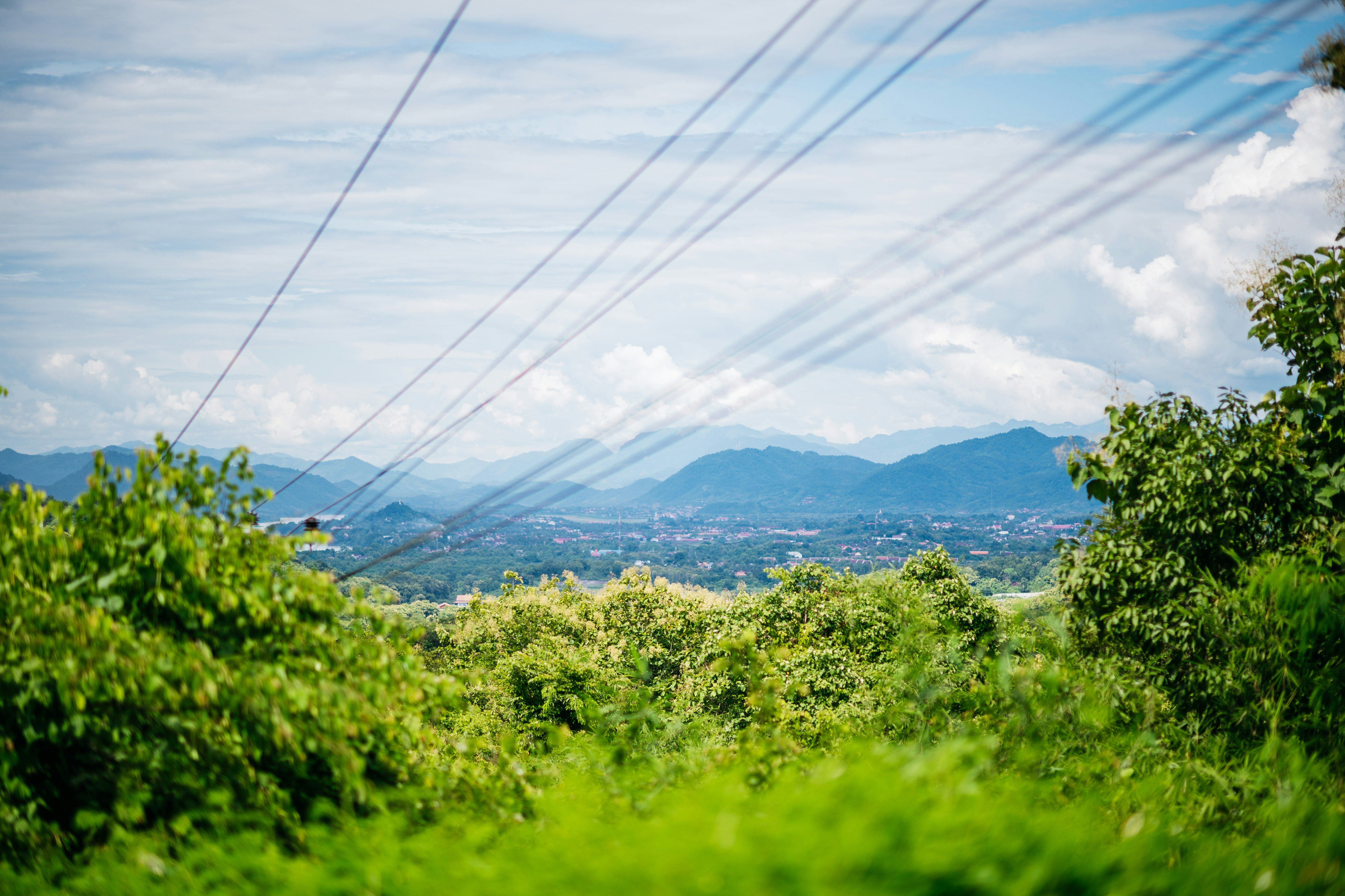 Vineyard Ridge Under a Wisp of Power Lines