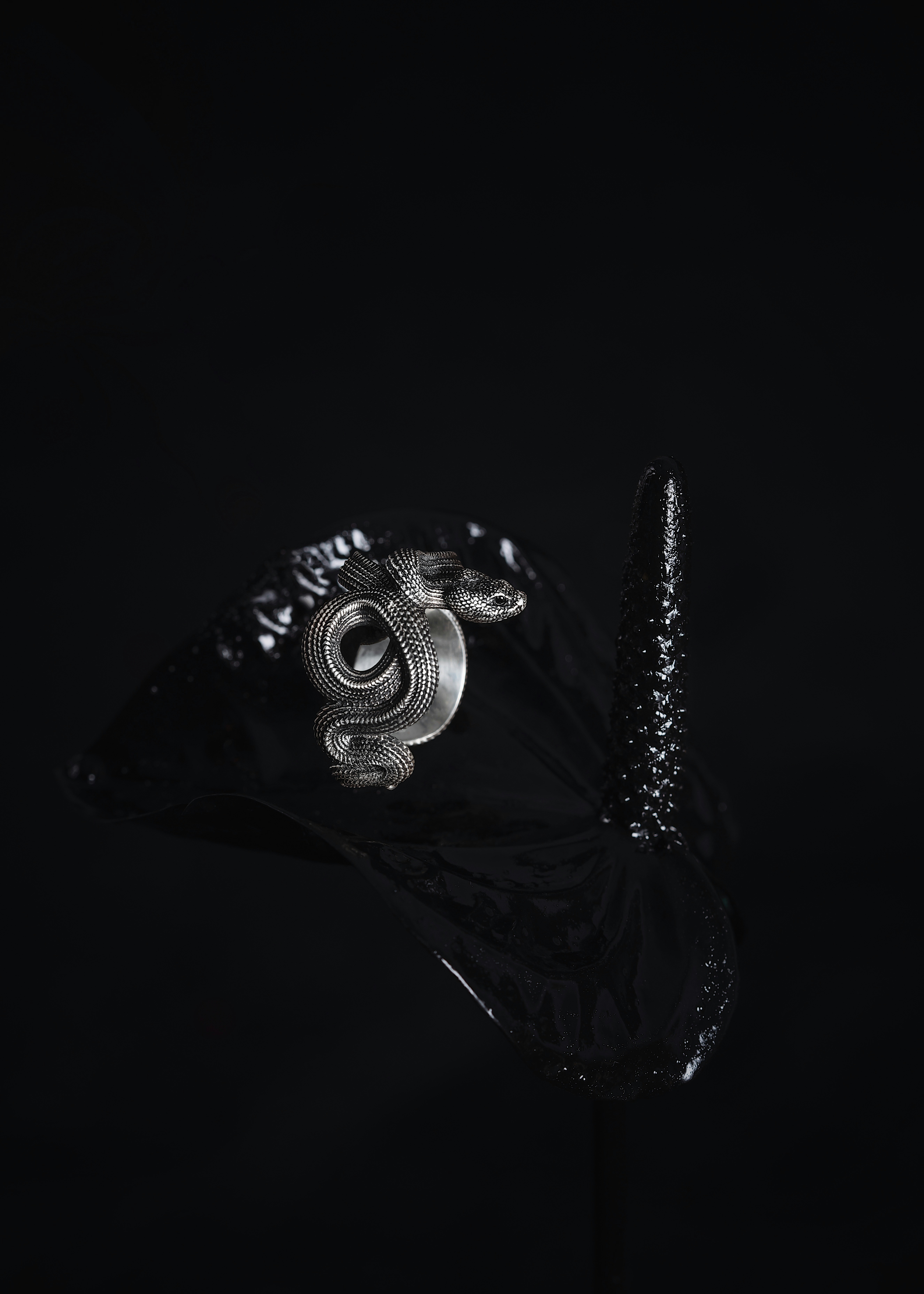 A close-up of a ring photo – Free Woman Image on Unsplash