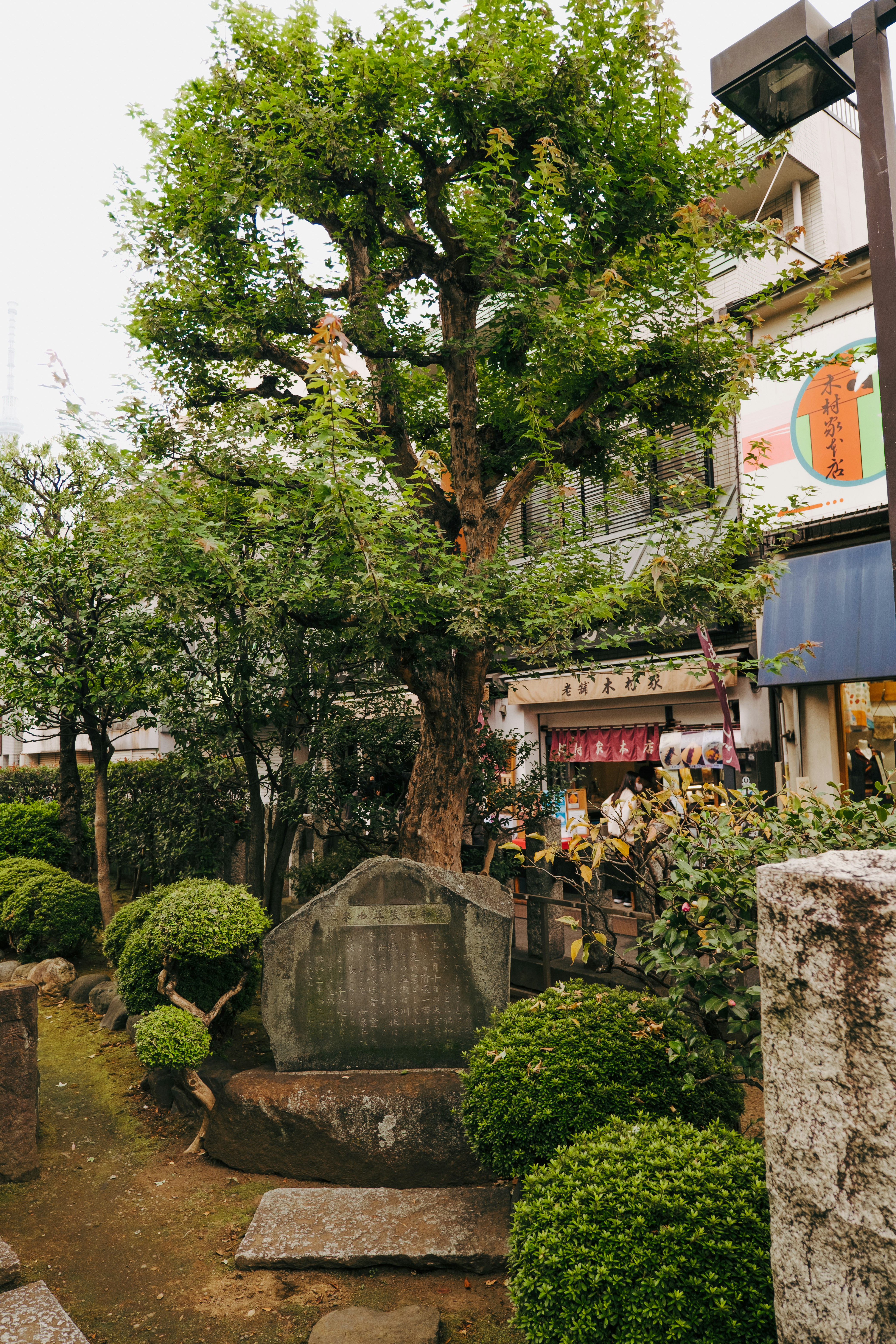 A serene garden scene featuring a prominent tree and a stone monument, nestled among manicured shrubs in a bustling city setting.
