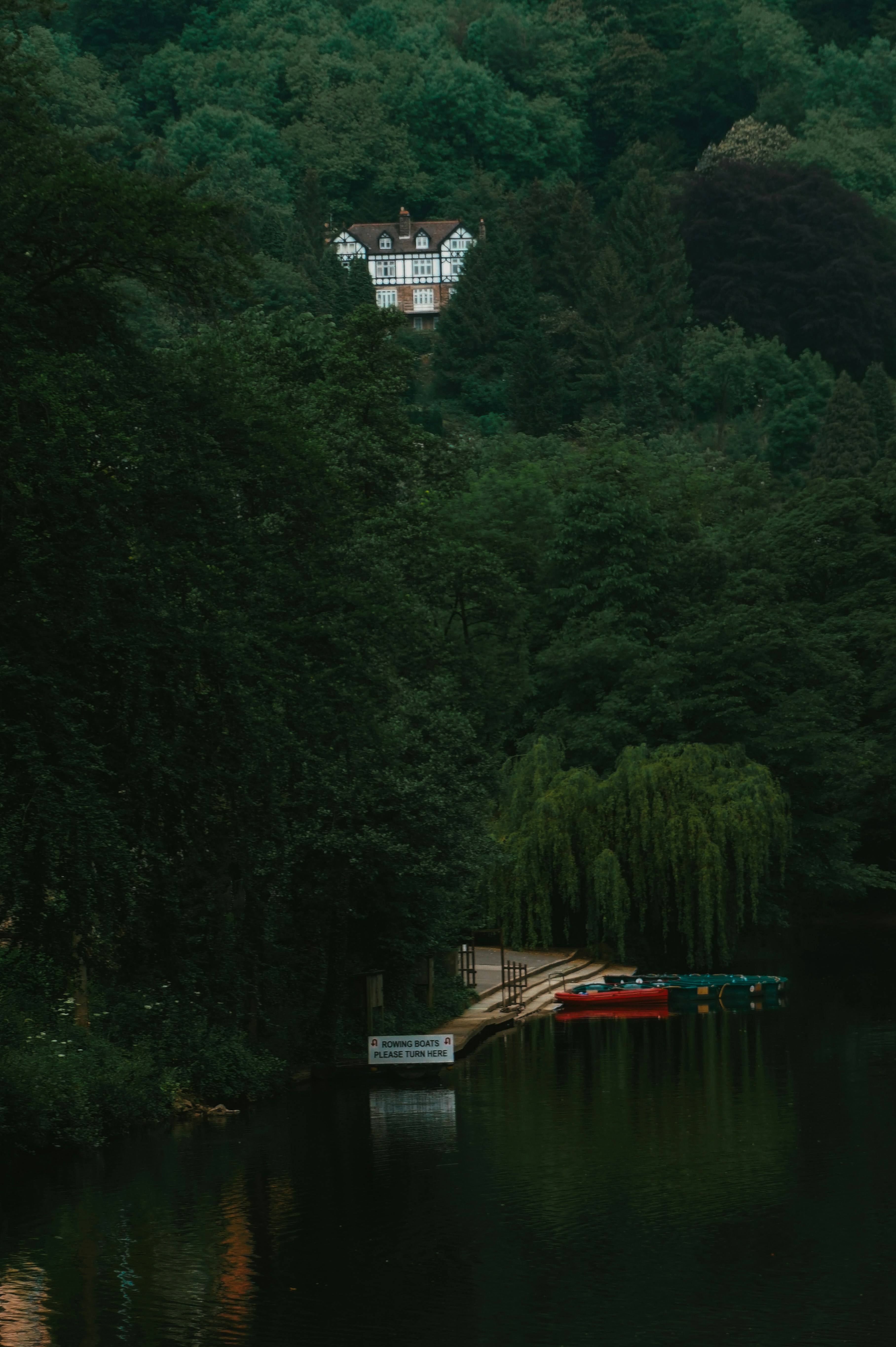 Hilltop Manor Against a Cathedral of Pines Over a Quiet Lake