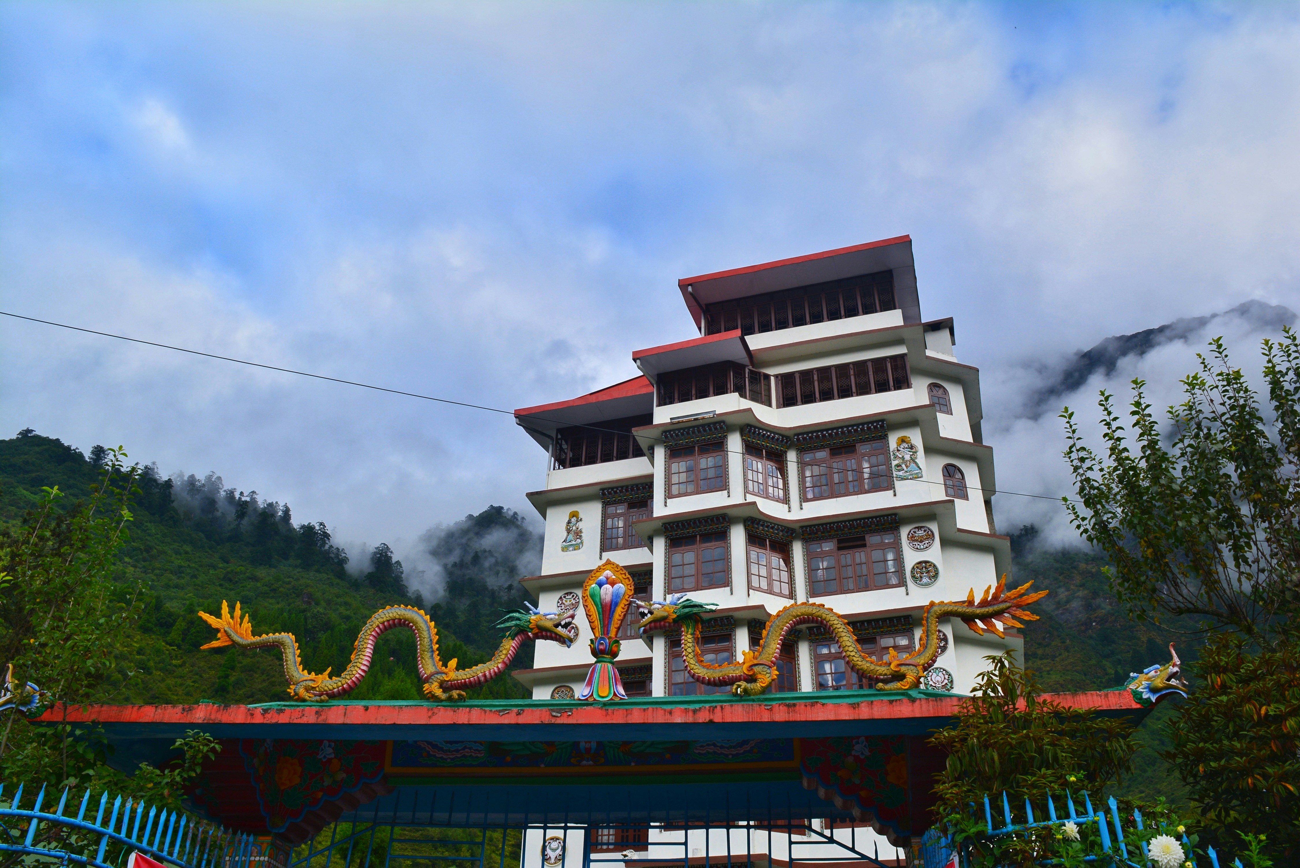 Dragon Gate Shrine Rising Above Misty Pines
