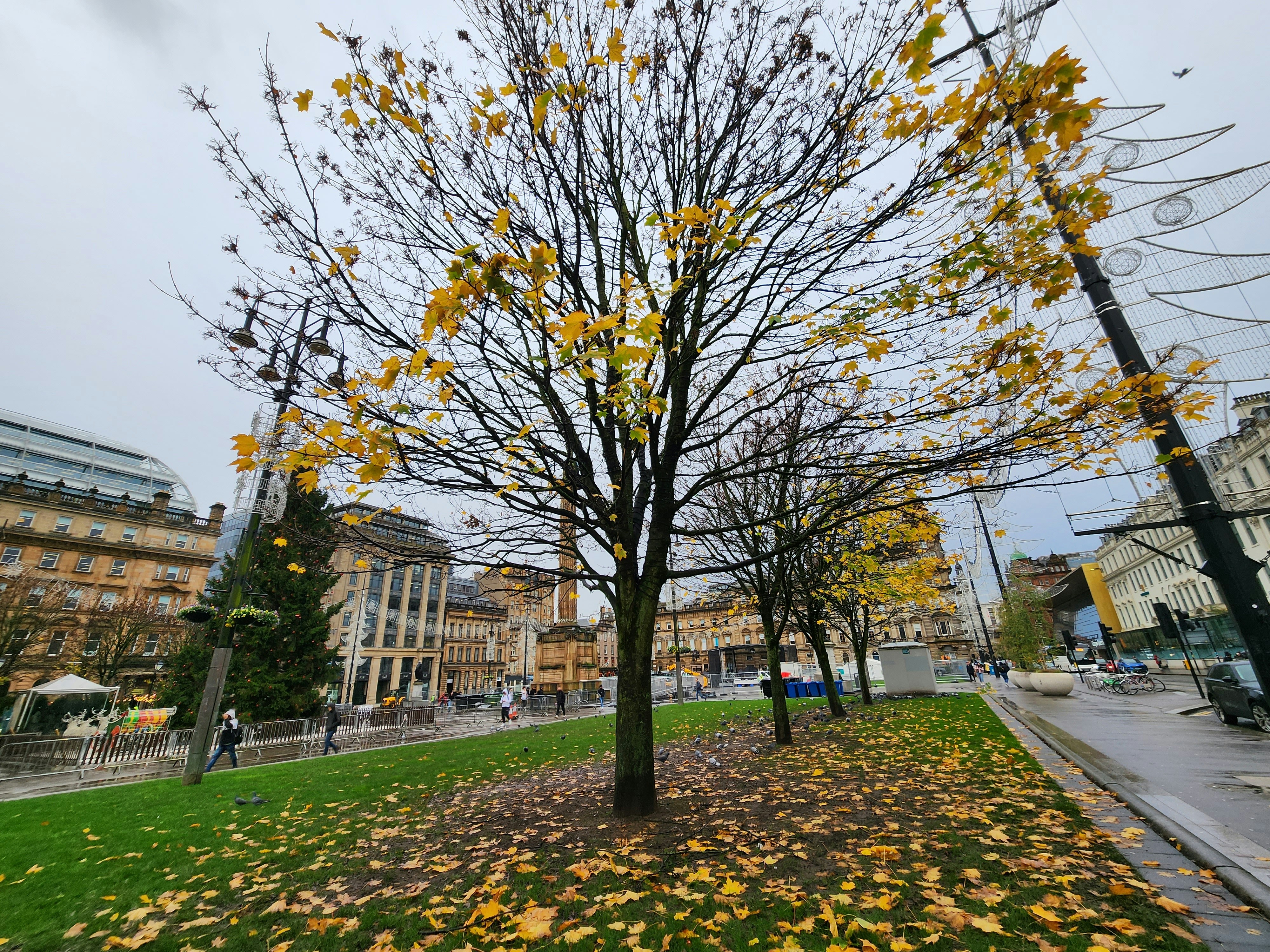 Un arbre aux fleurs jaunes photo – Image gratuite de Glasgow sur Unsplash
