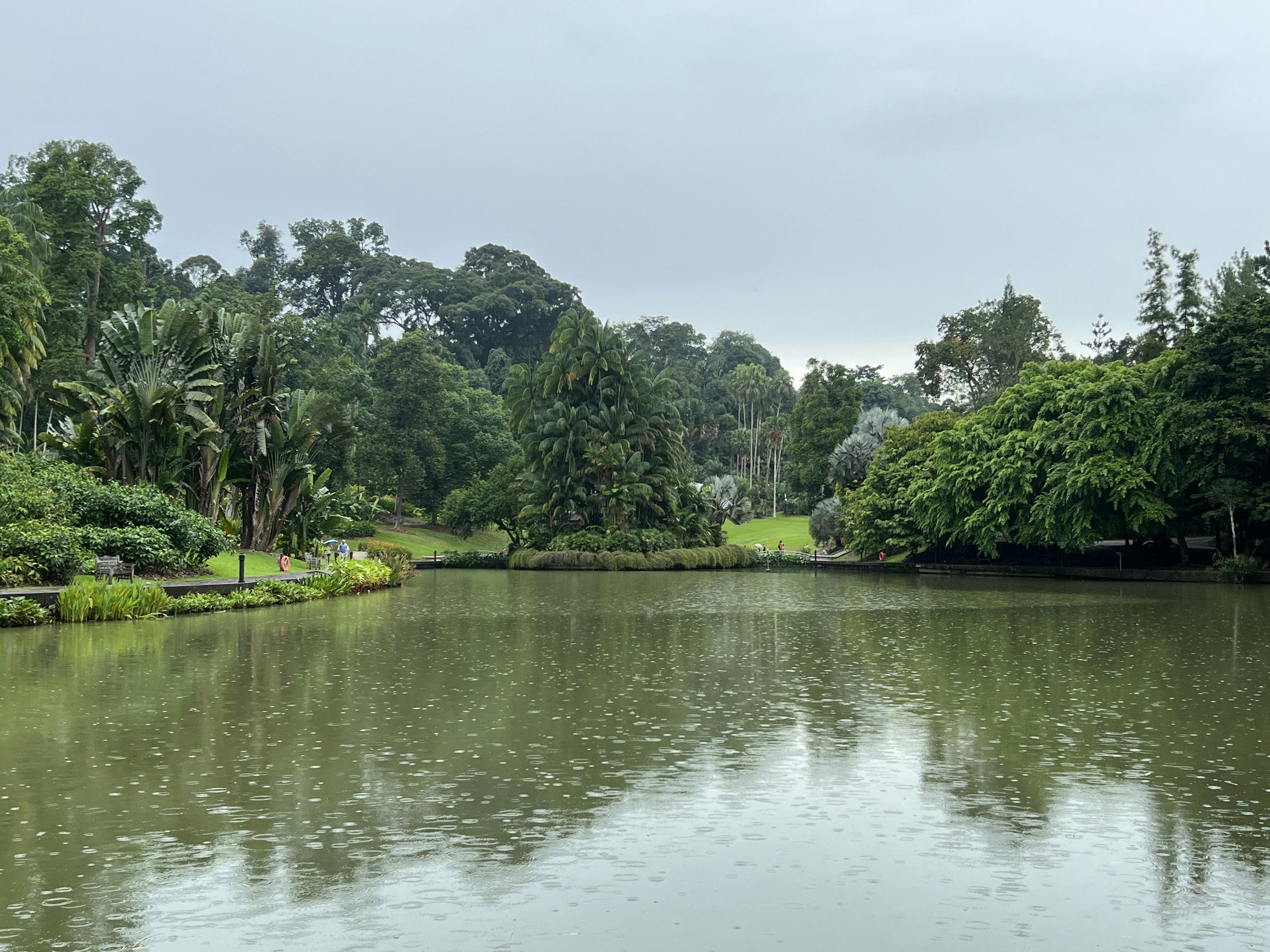 Photo by Andy Wang with Apple iPhone 13 Pro Max