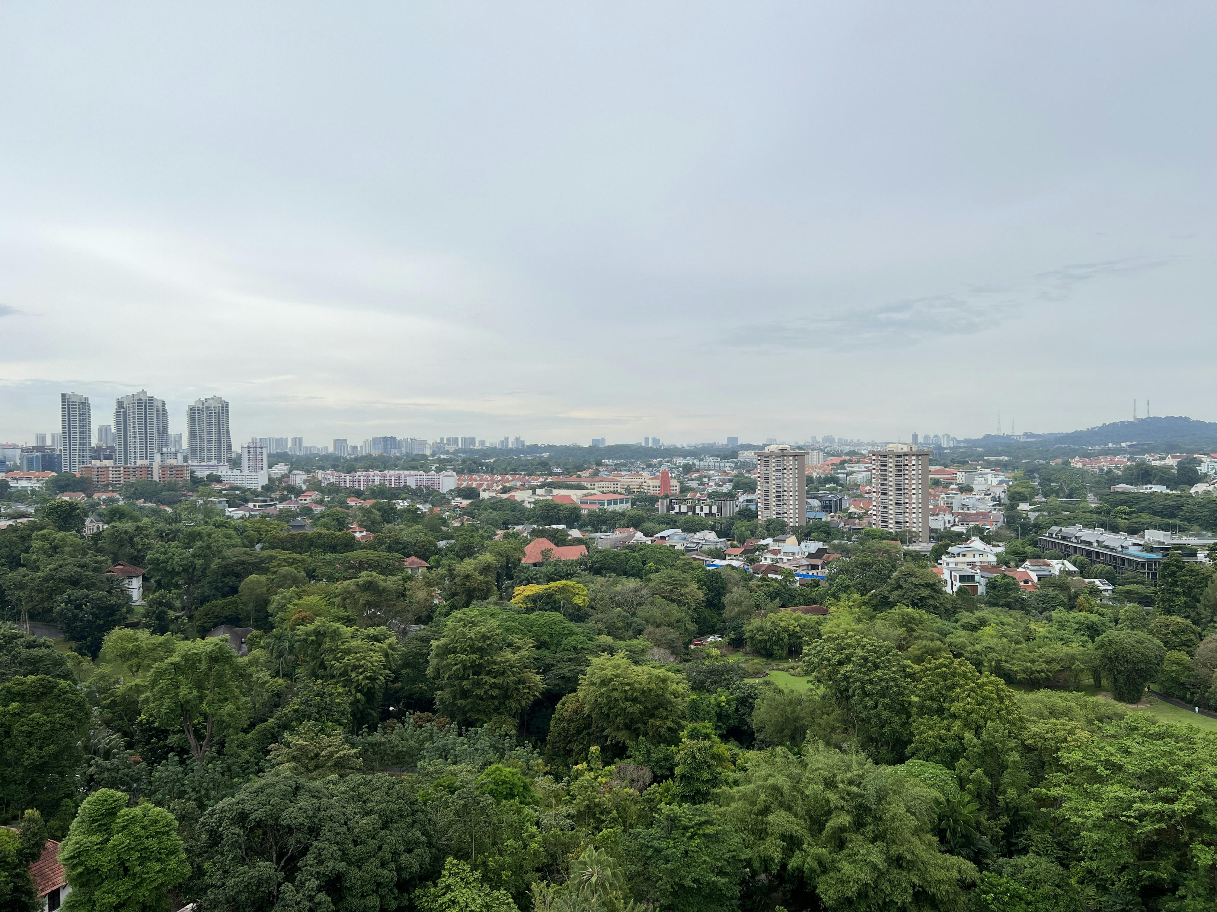 St. Thomas Mount with many trees