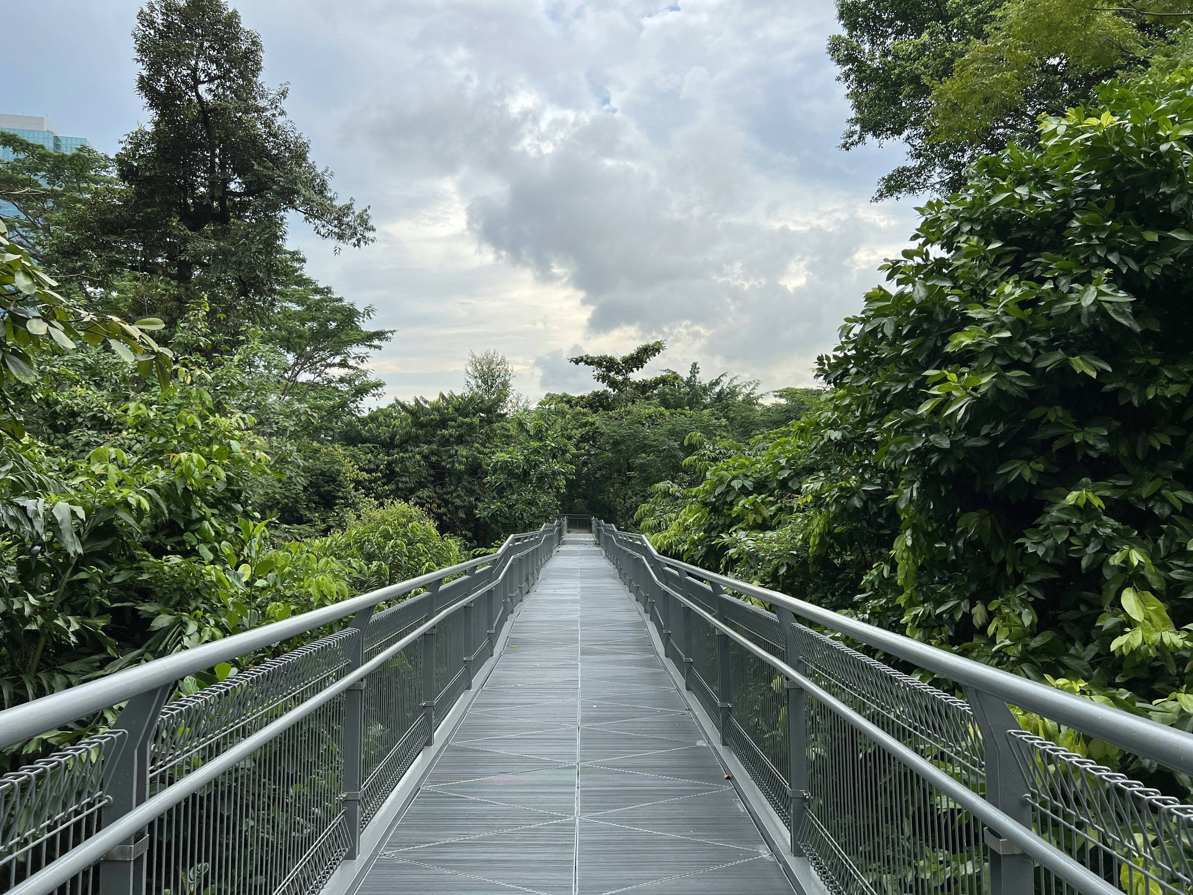 A bridge with trees on the side photo – Free Southern ridges Image on ...