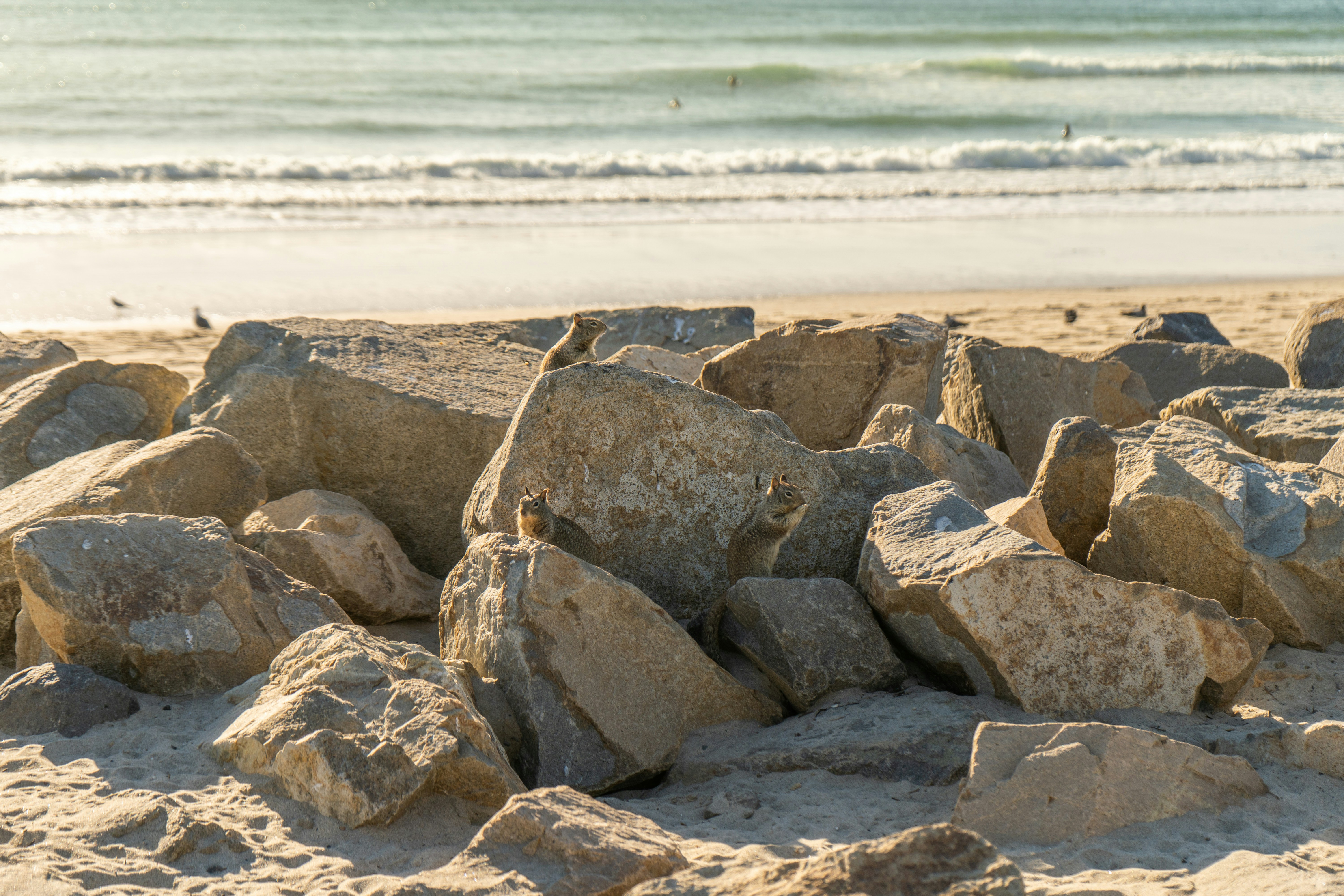 A group of rocks on a beach photo – Free Beach Image on Unsplash