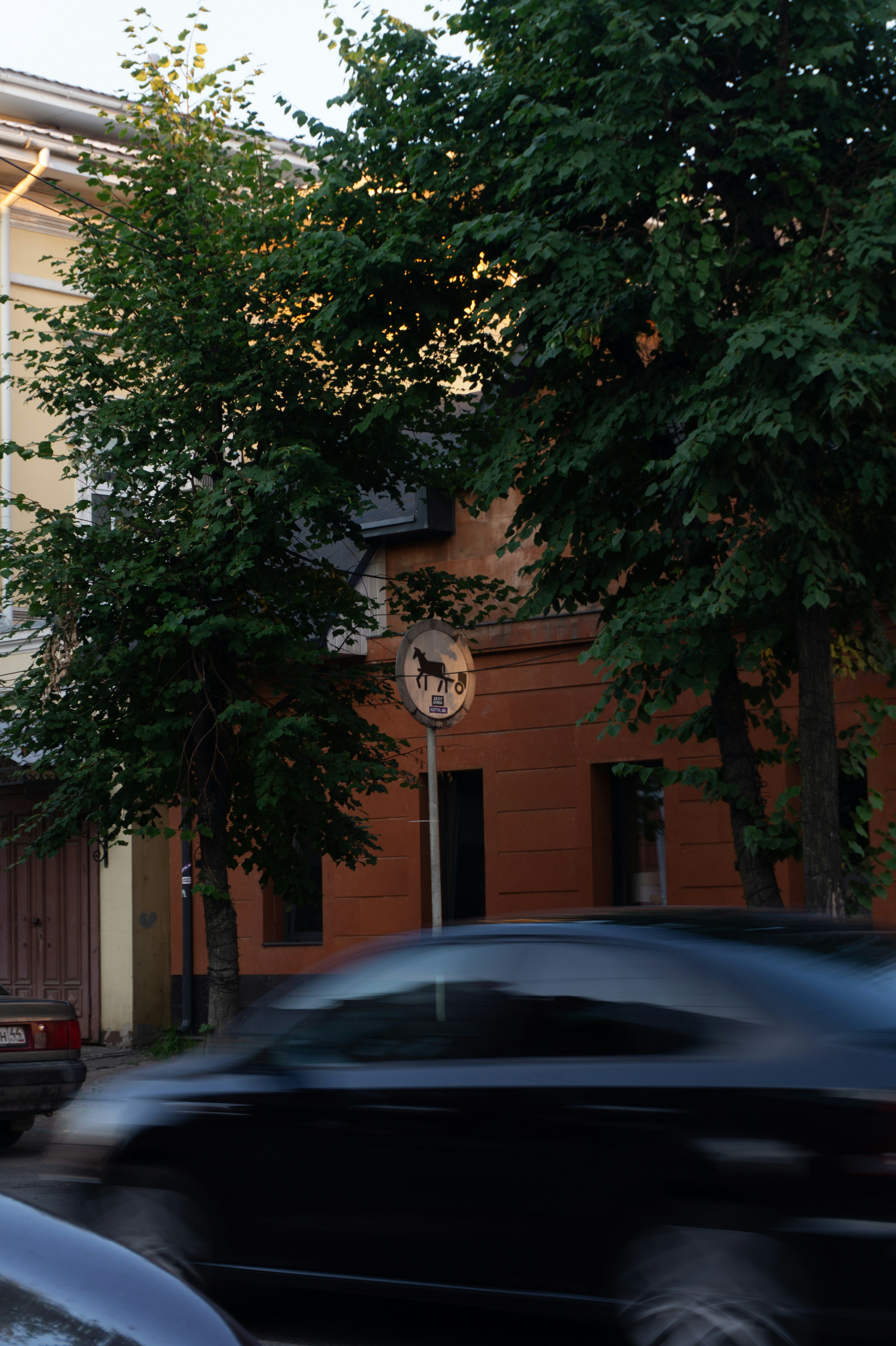 Deer Crossing in the City: A Sign Among Blurred Traffic and Foliage