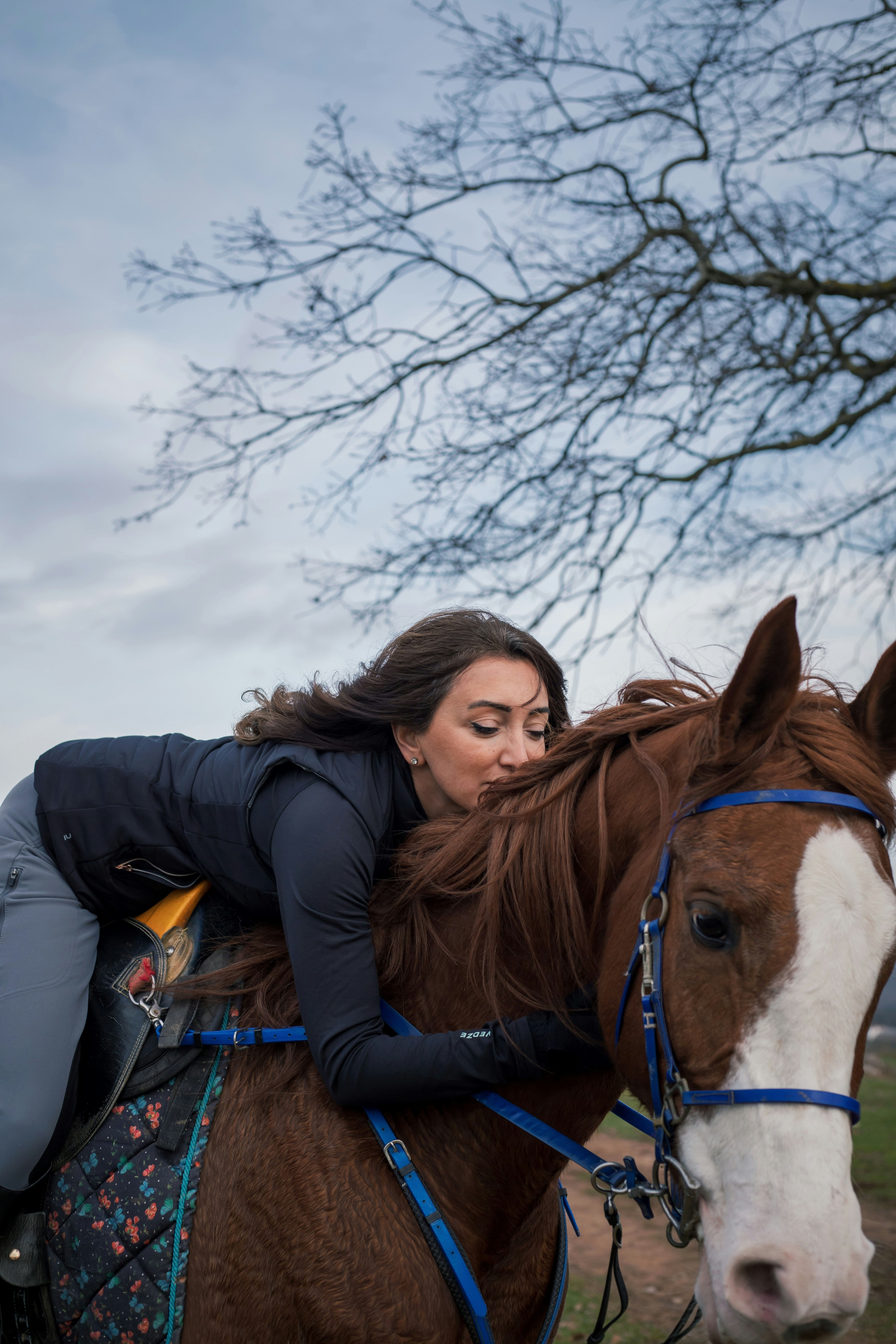 A person riding a horse photo – Free Woman Image on Unsplash