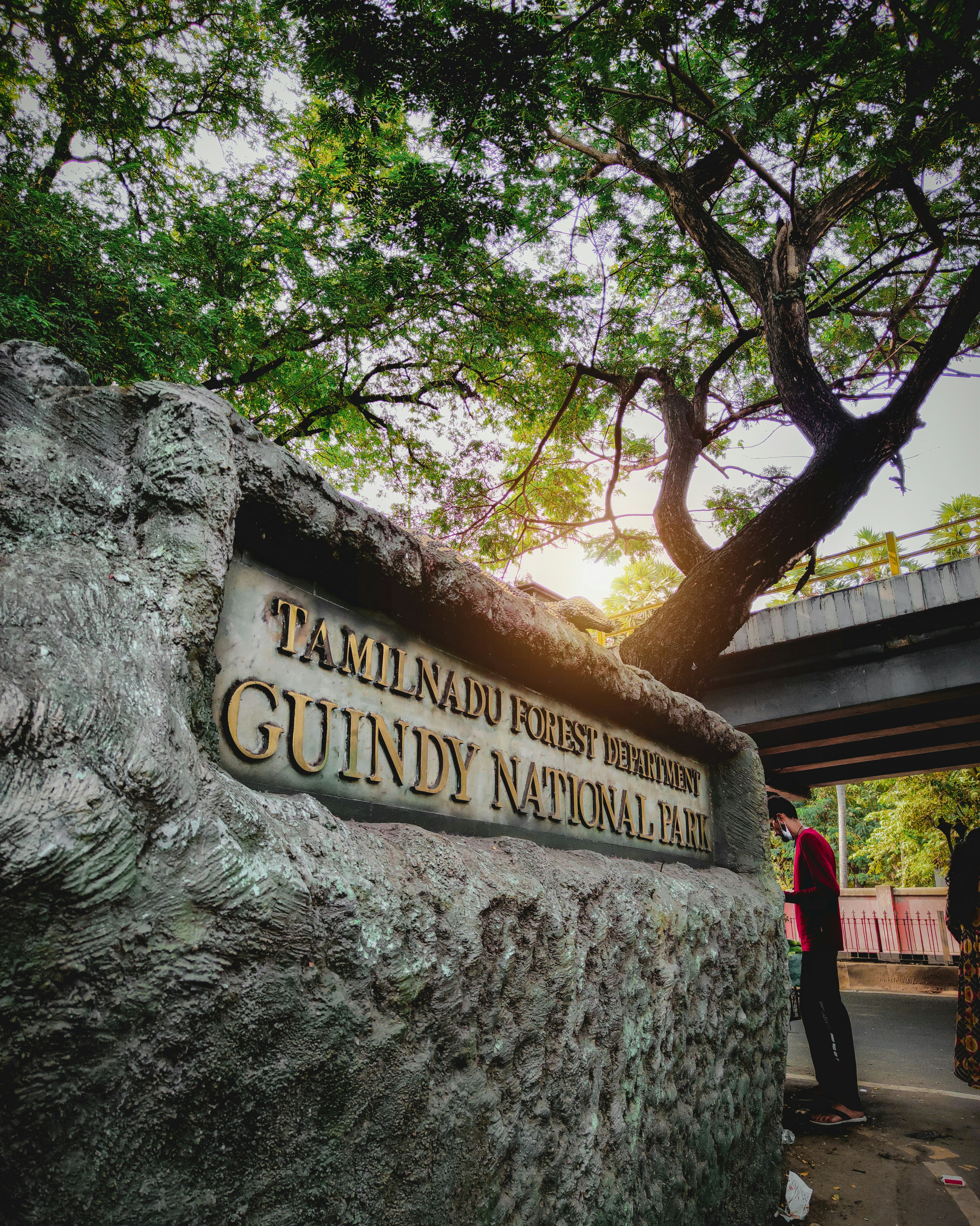 Signage for Guindy National Park, showcasing the Tamil Nadu Forest Department's entrance amidst lush greenery. The scene reflects a serene, inviting atmosphere.
