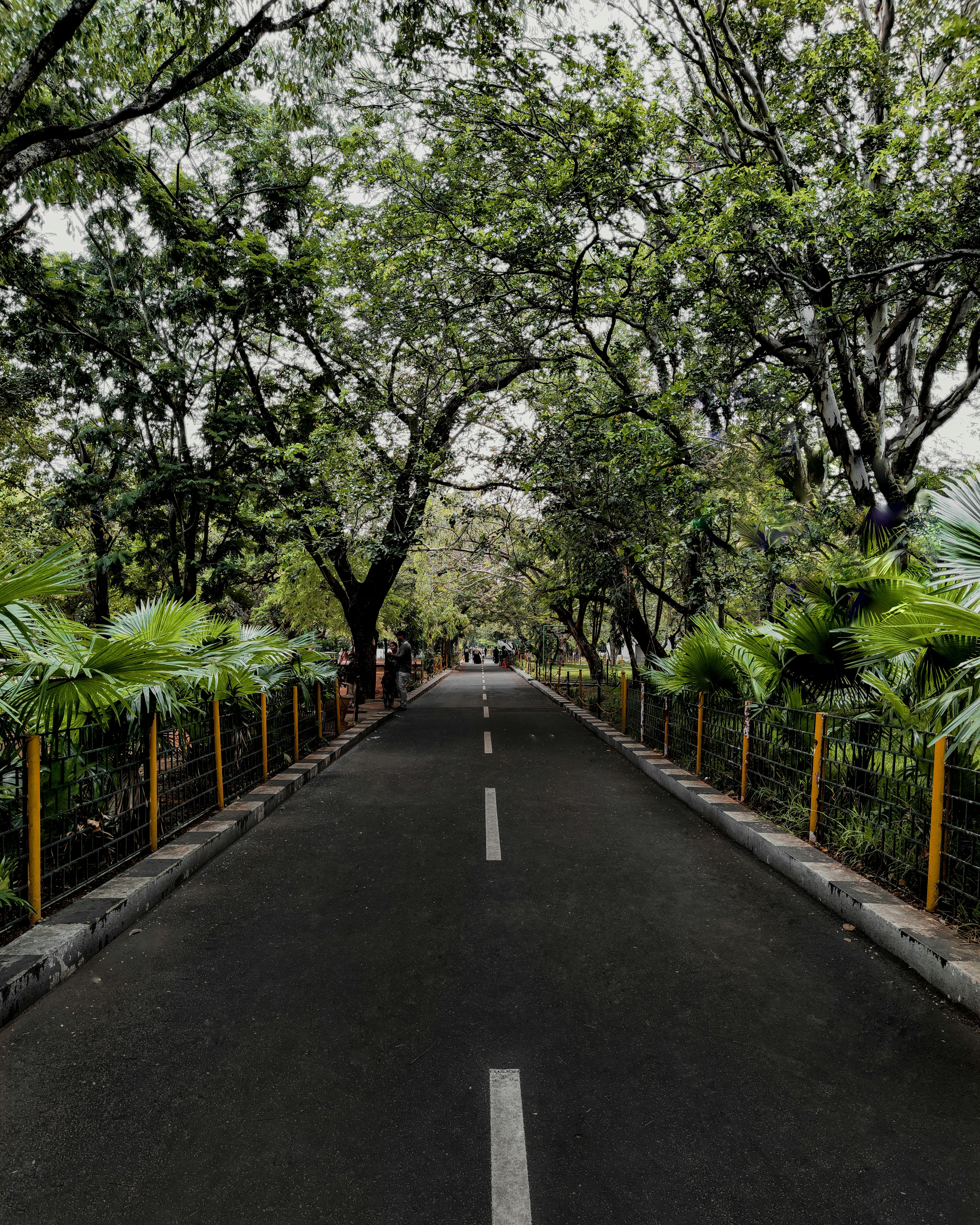 Photo by Rijo Abraham Mathew with Realme 8 Pro