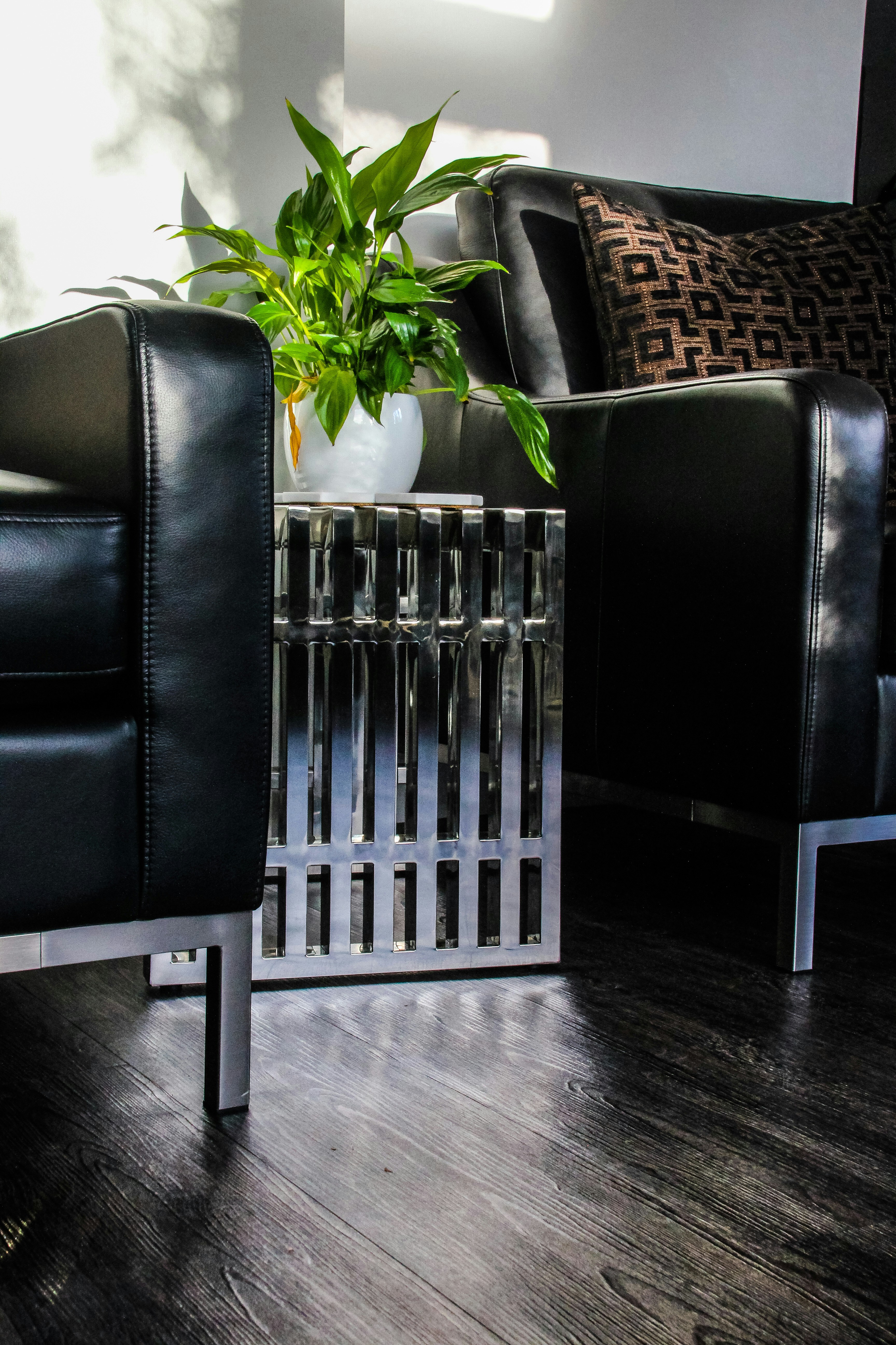 Between Leather and Light: Plant Framing a Modern Lounge