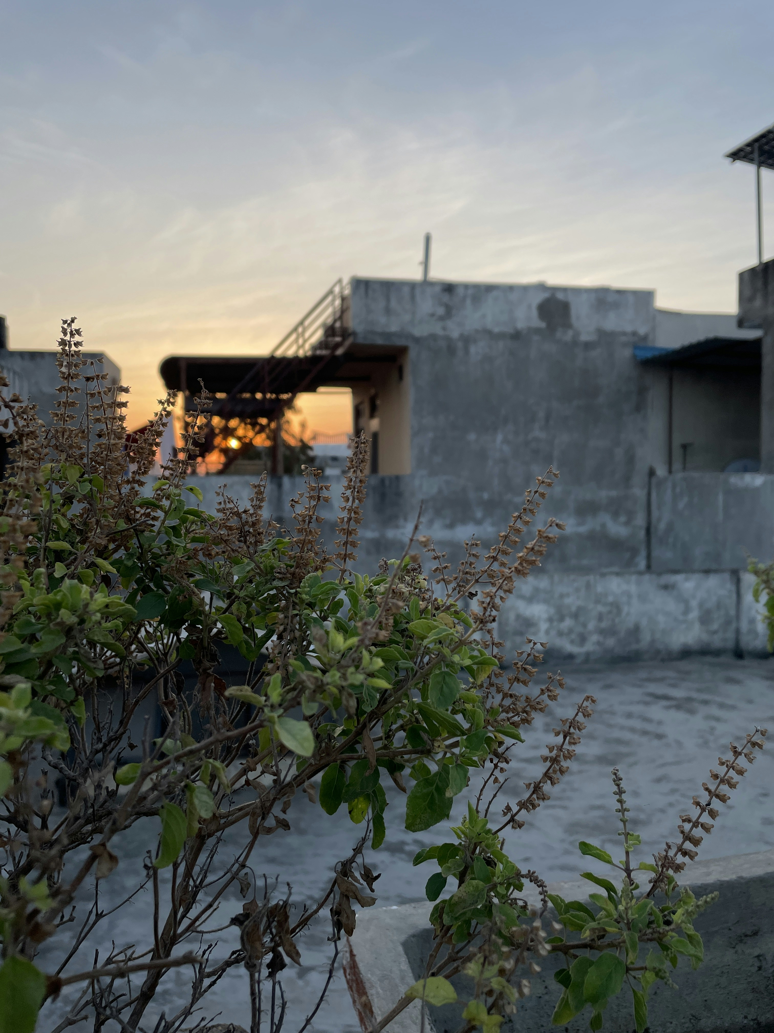 A building on fire photo – Free Morning sunrise Image on Unsplash