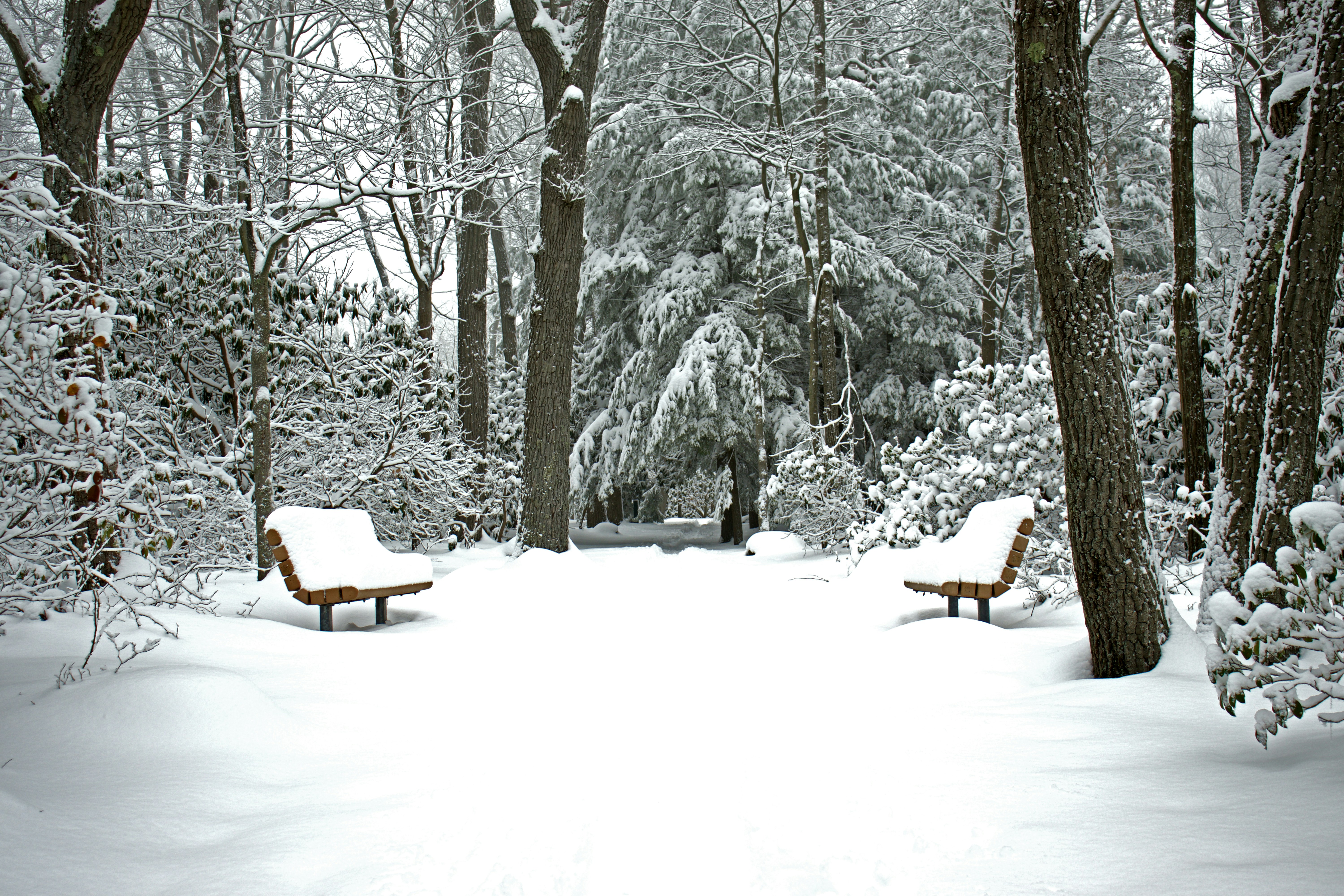 Benches in the snow photo – Free Snow Image on Unsplash