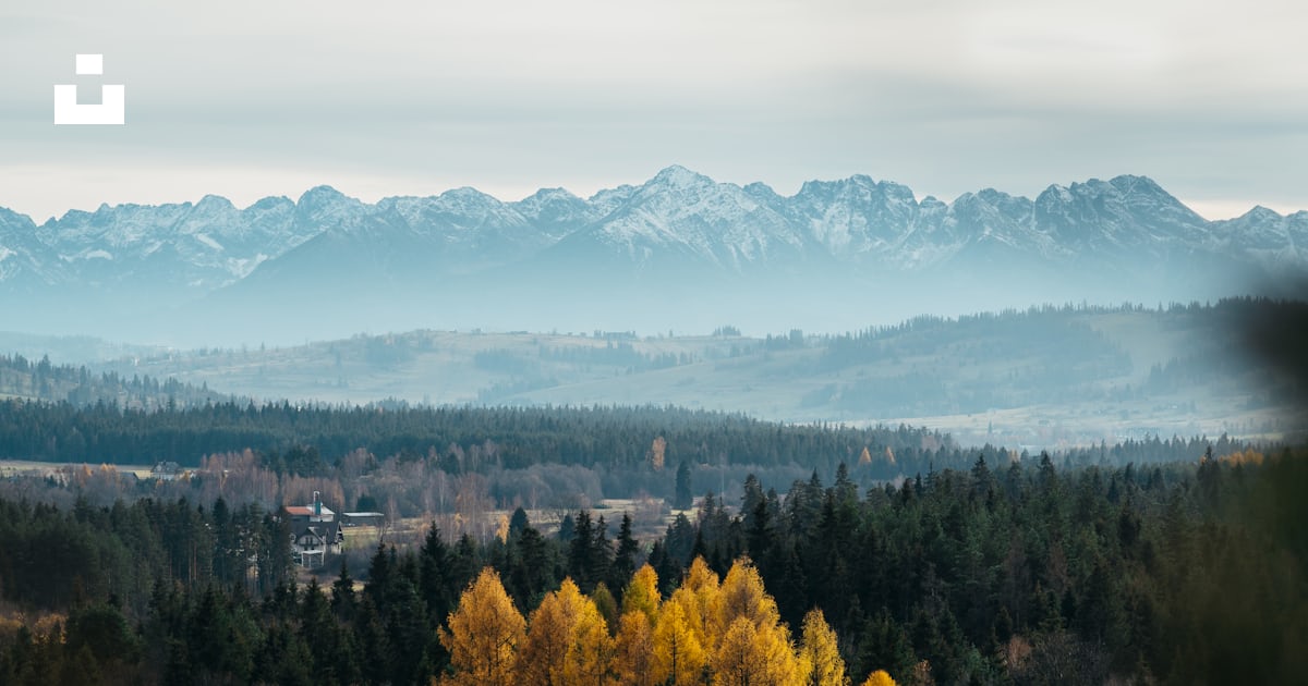 木々や山々を背景にした風景の写真 Unsplashの無料自然写真