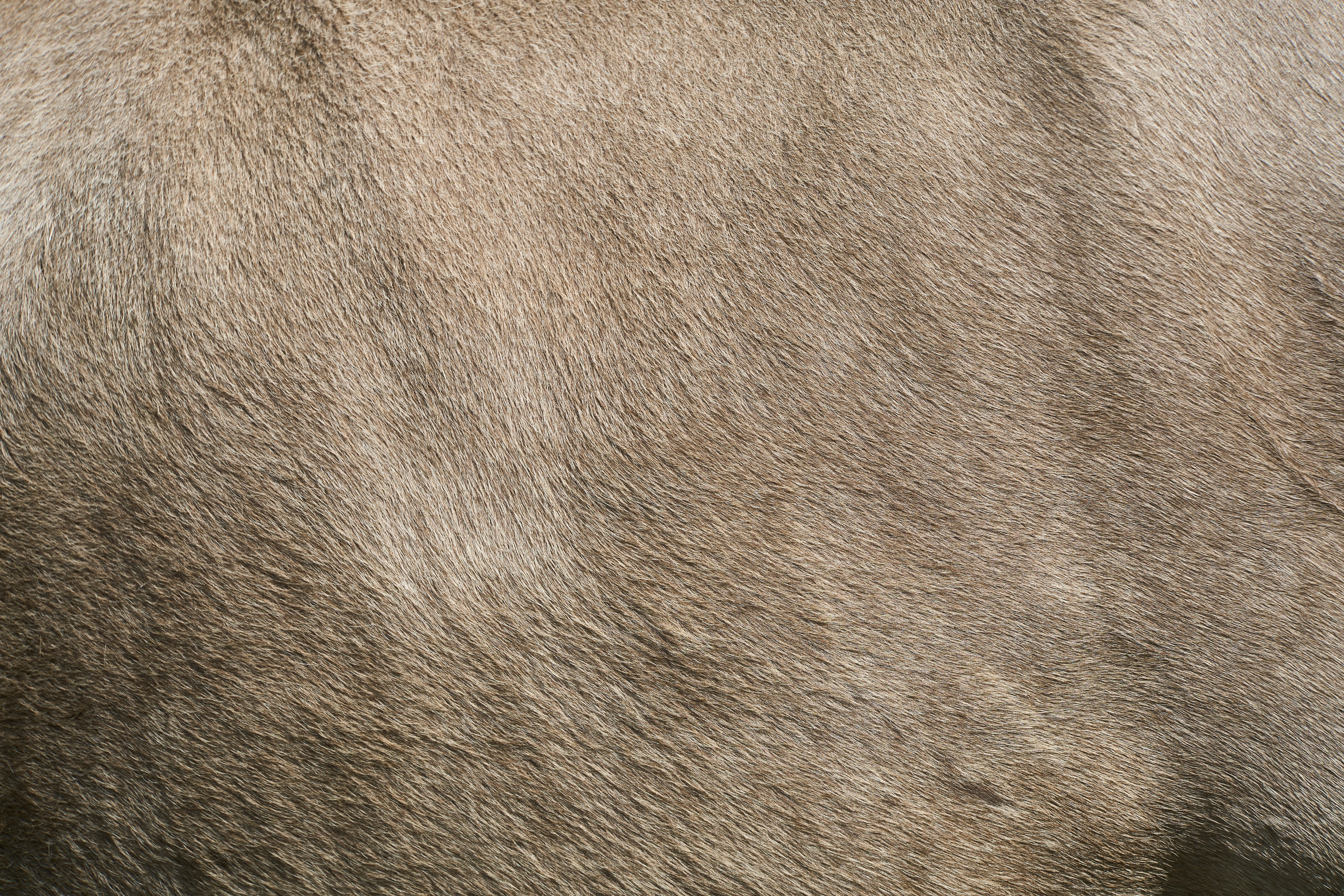 Photo by Wolfgang Hasselmann with Sony Alpha 7 IV