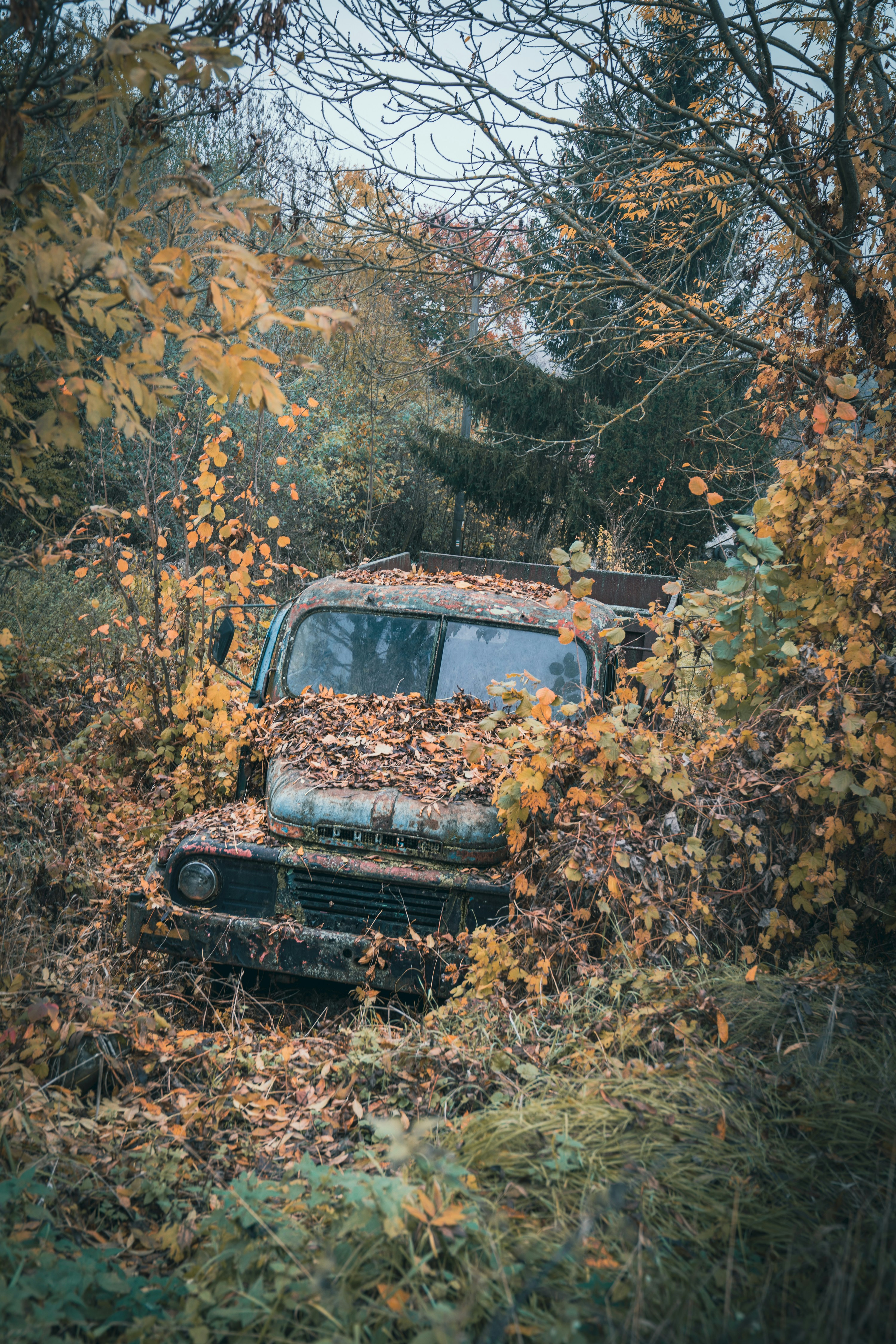 Autumn's Veiled Van: A Rusted Relic Reclaimed by the Woods