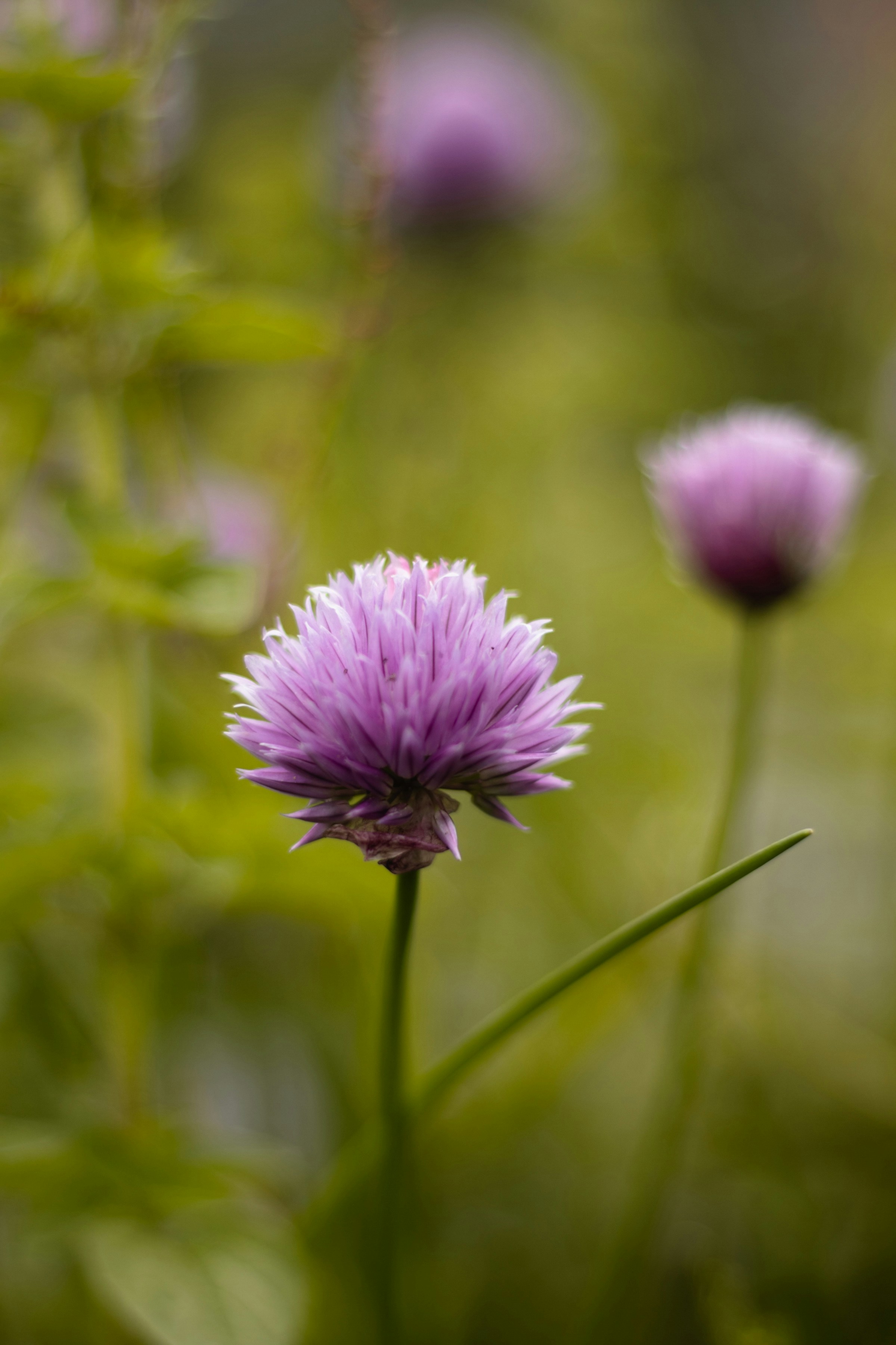 Sofia Tang (@sofiatang) | Unsplash 사진 커뮤니티