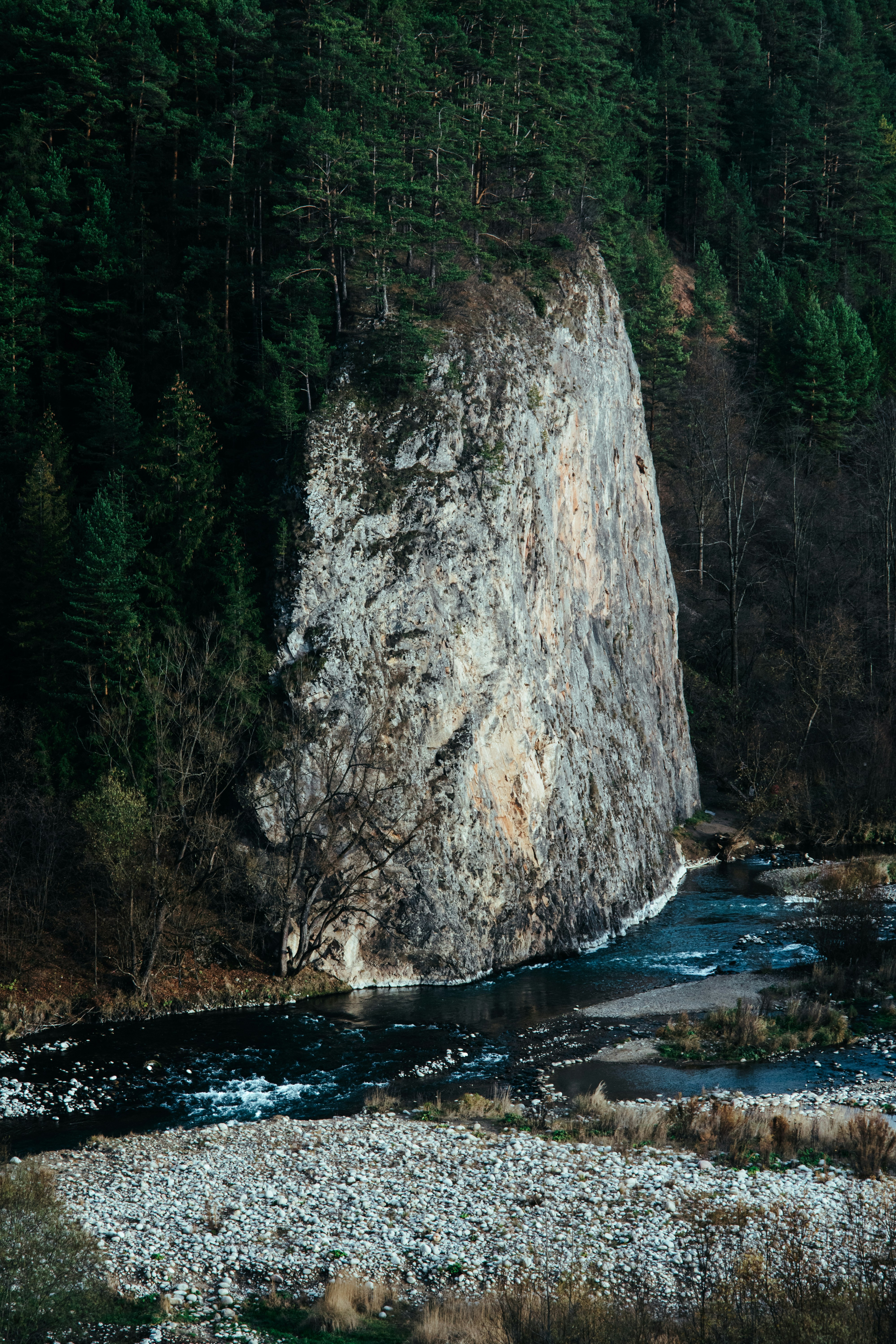 A large rock in a forest photo – Free Nature Image on Unsplash