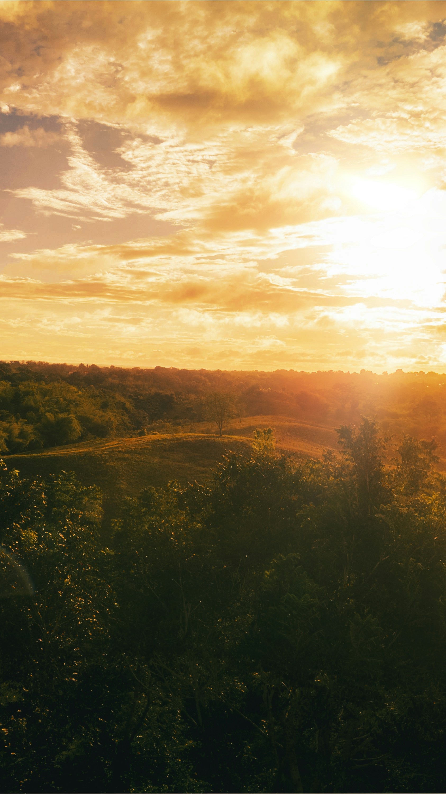 Sunset Crest: An Aerial Quiet Over Golden Hills
