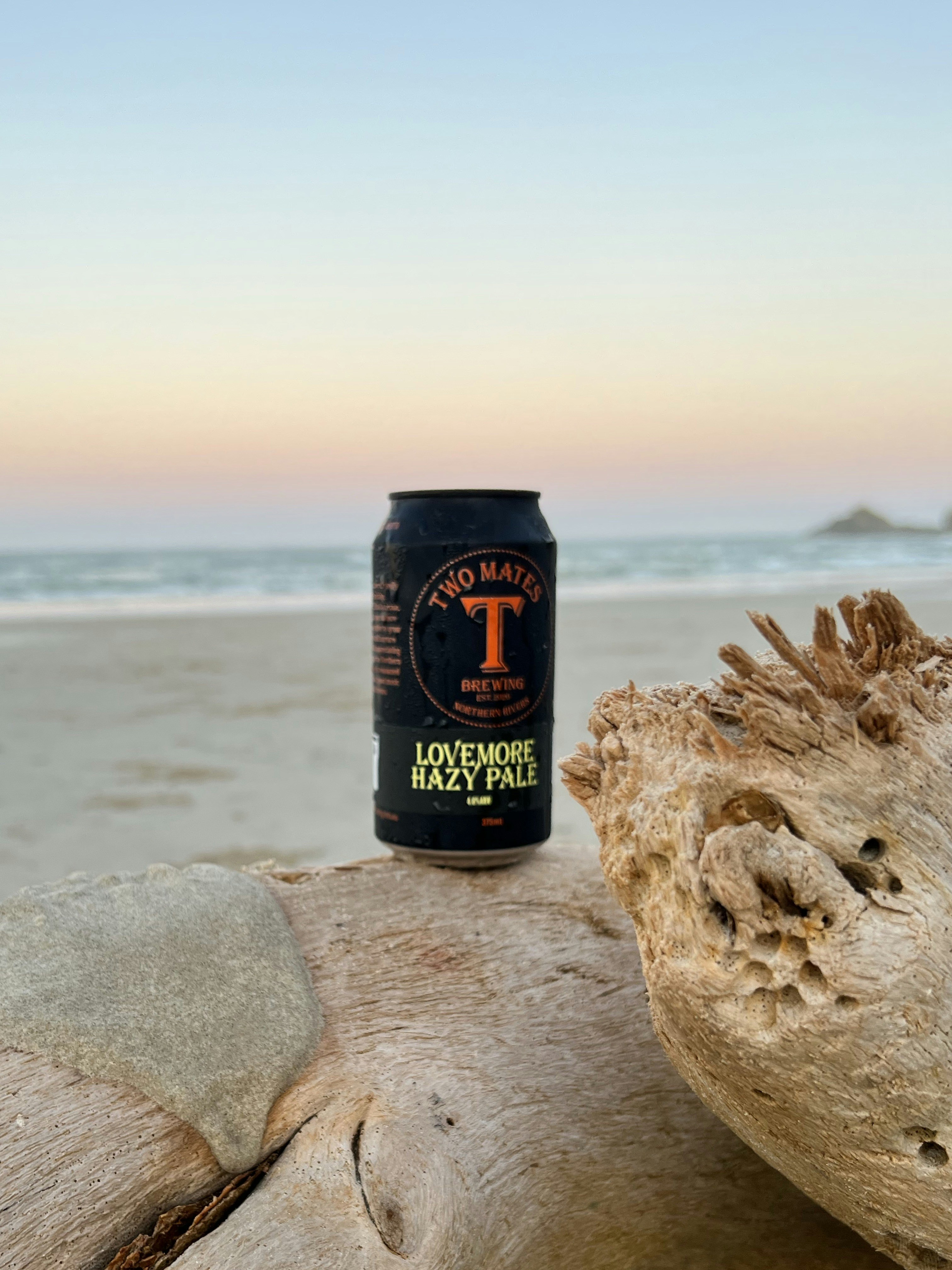 Dusk on Driftwood: Lovemore Hazy Pale by the Sea