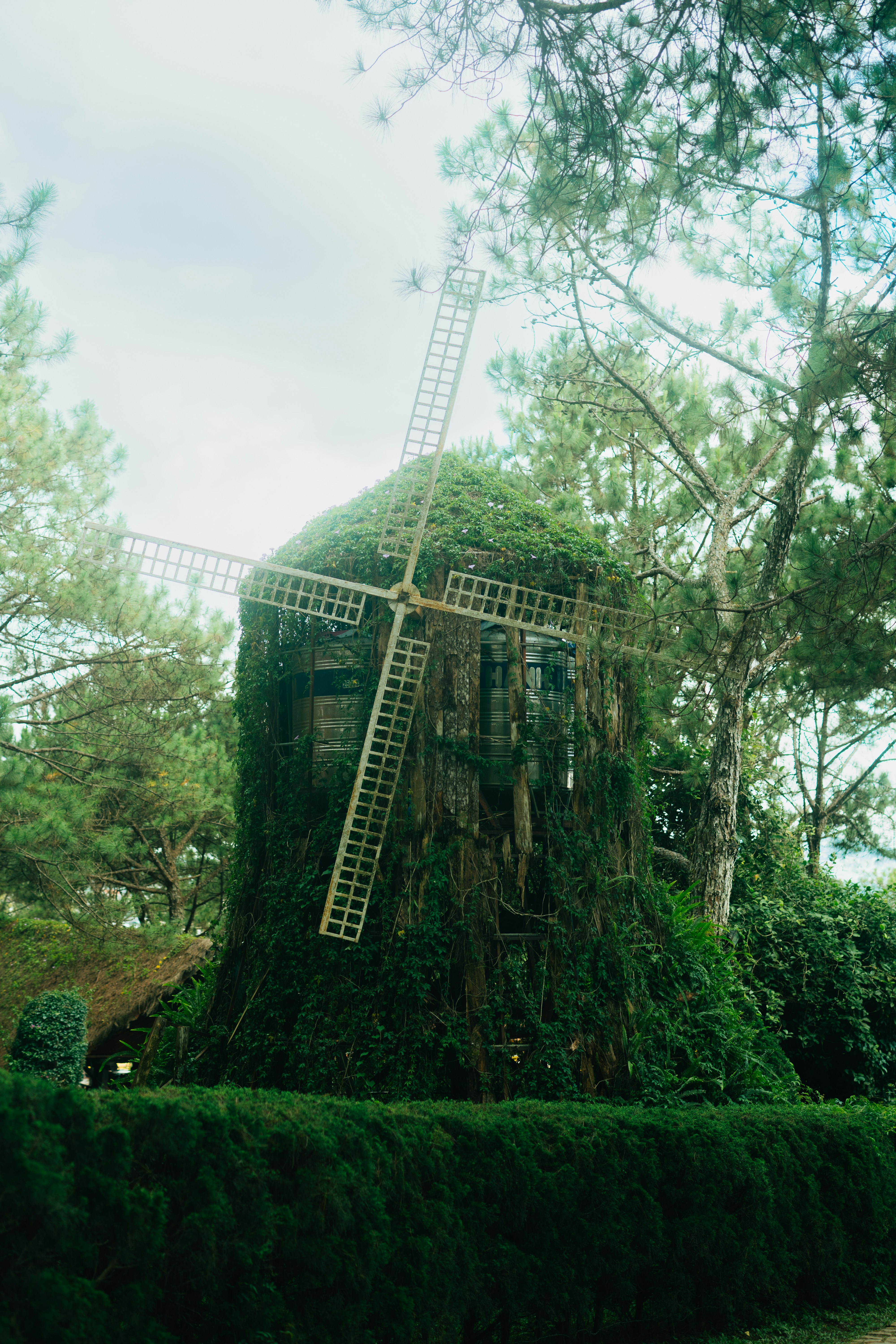 A structure with trees around it photo – Free Greenhouse Image on Unsplash