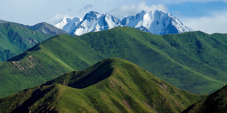 Snow-capped mountain range rising above layered green hills under a clear blue sky. Rolling ridgelines fill the foreground and midground.
