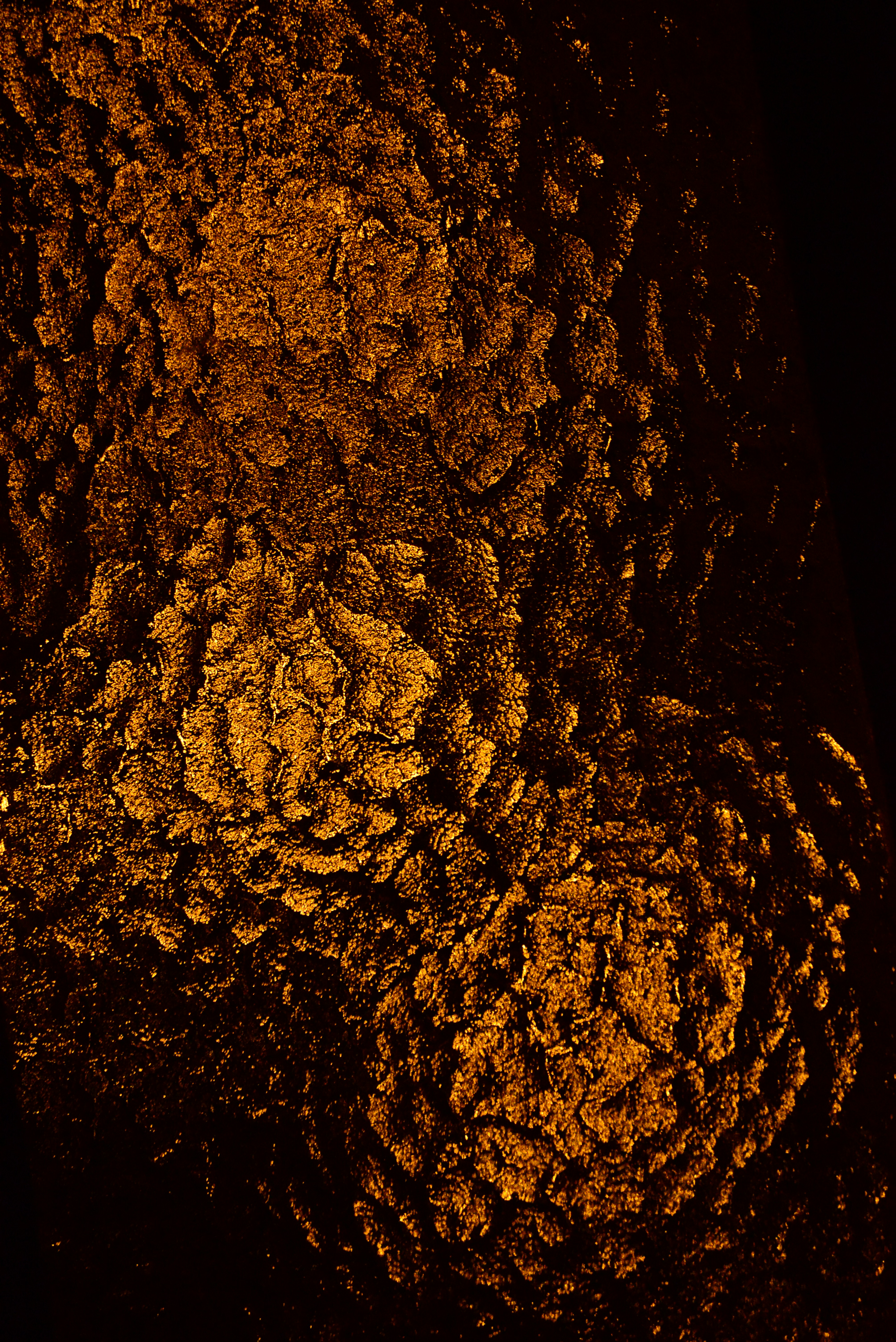 Gros plan d’un rocher photo – Image gratuite de Texture sur Unsplash