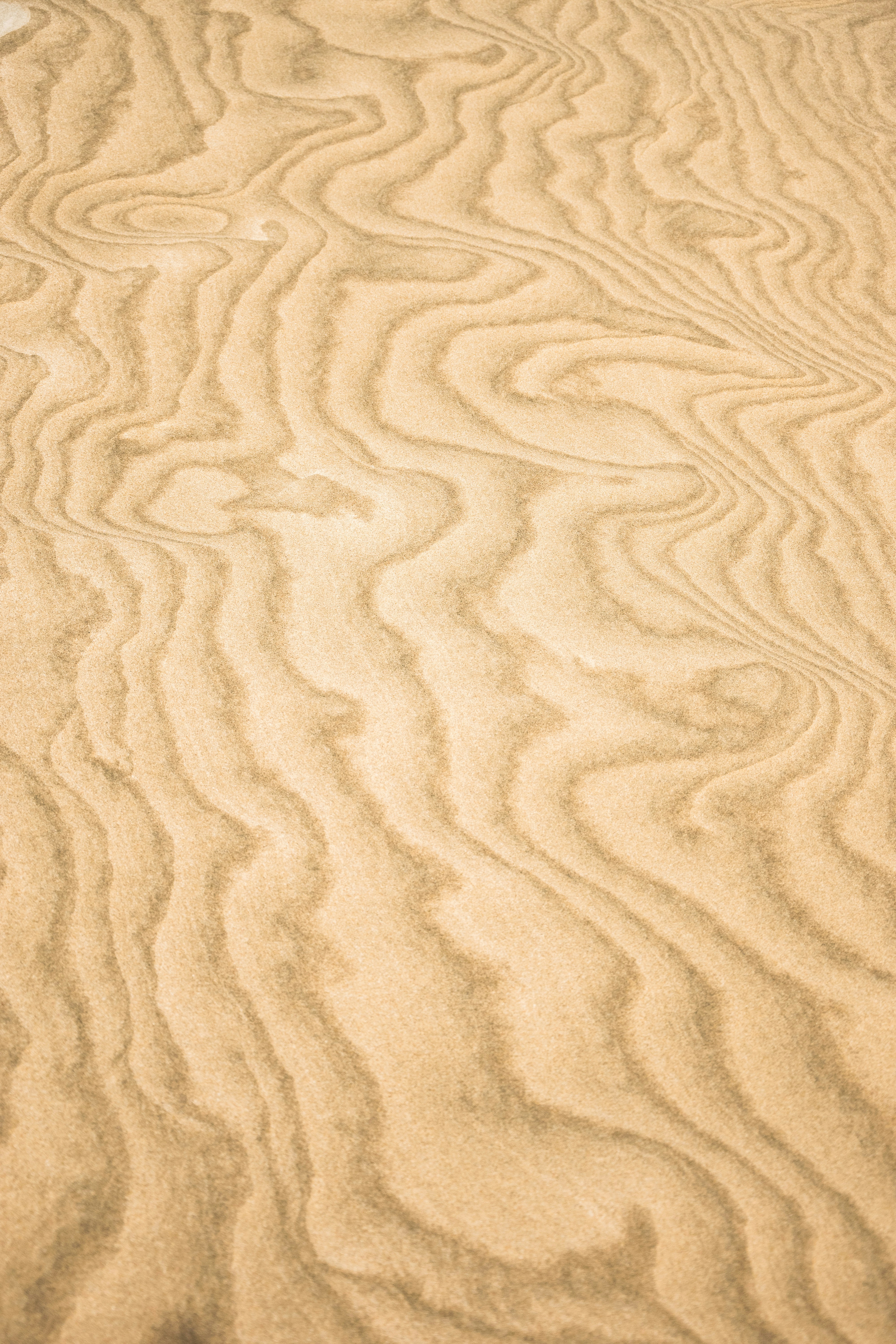 Whorled Sand Ridges in a Quiet Dune Field