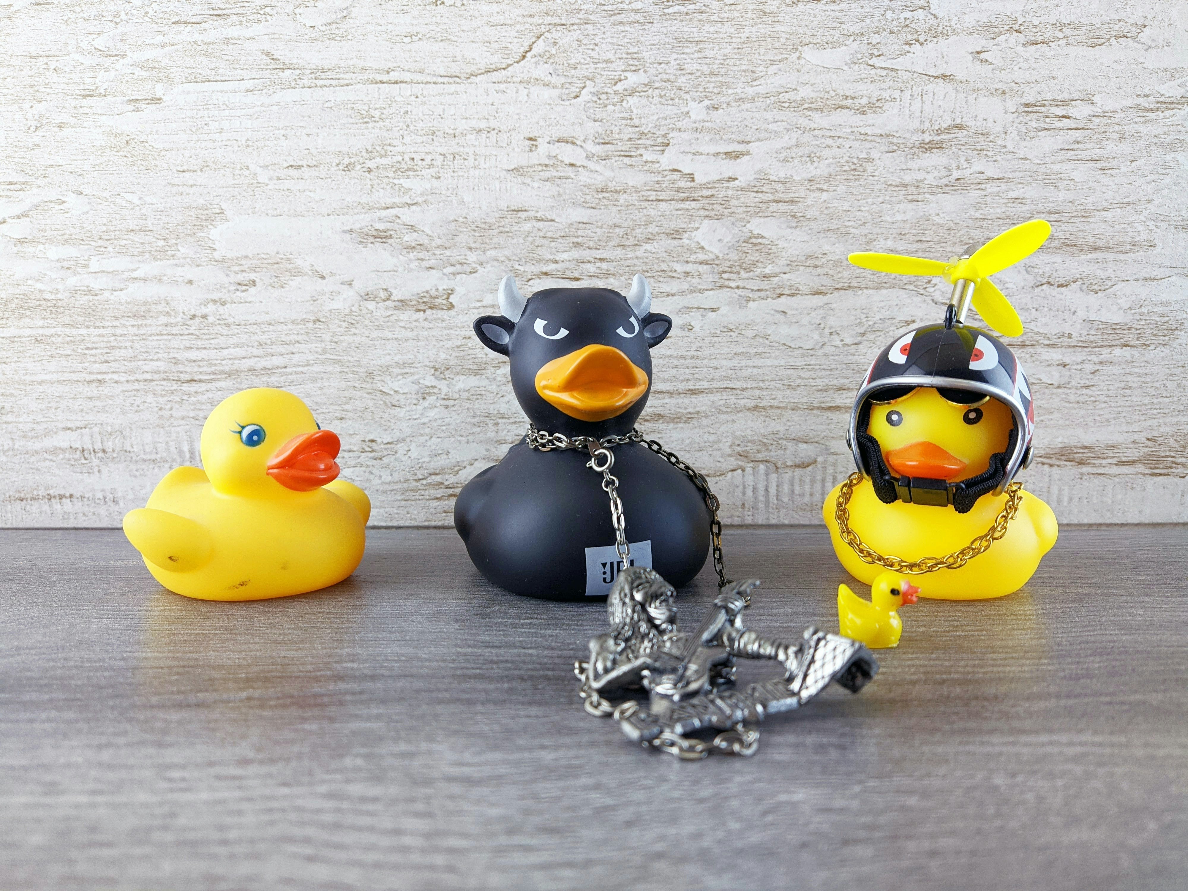 Iron Maiden Pictures | Download Free Images on Unsplash