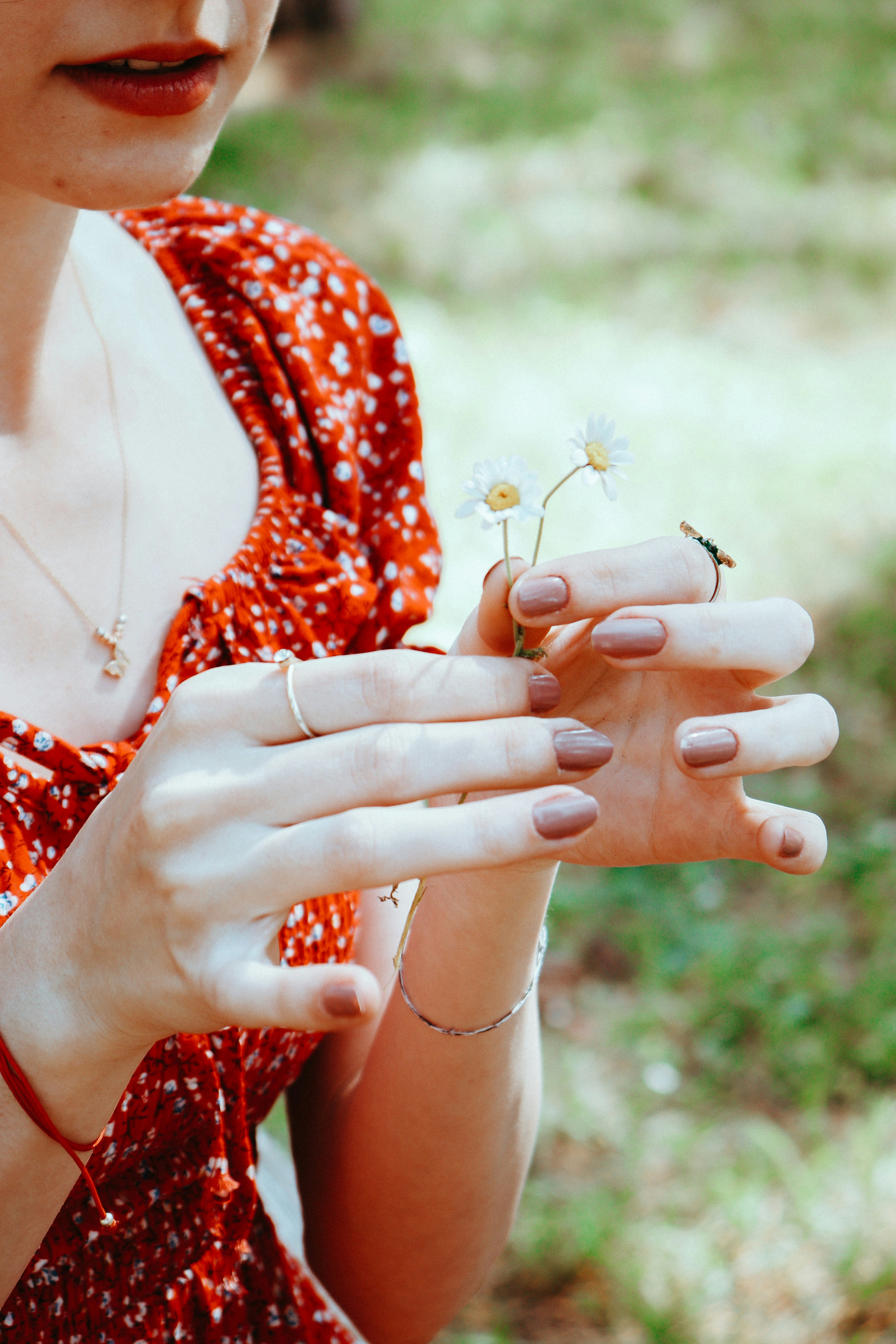 Daisy Exchange: A Quiet Moment with a Bee