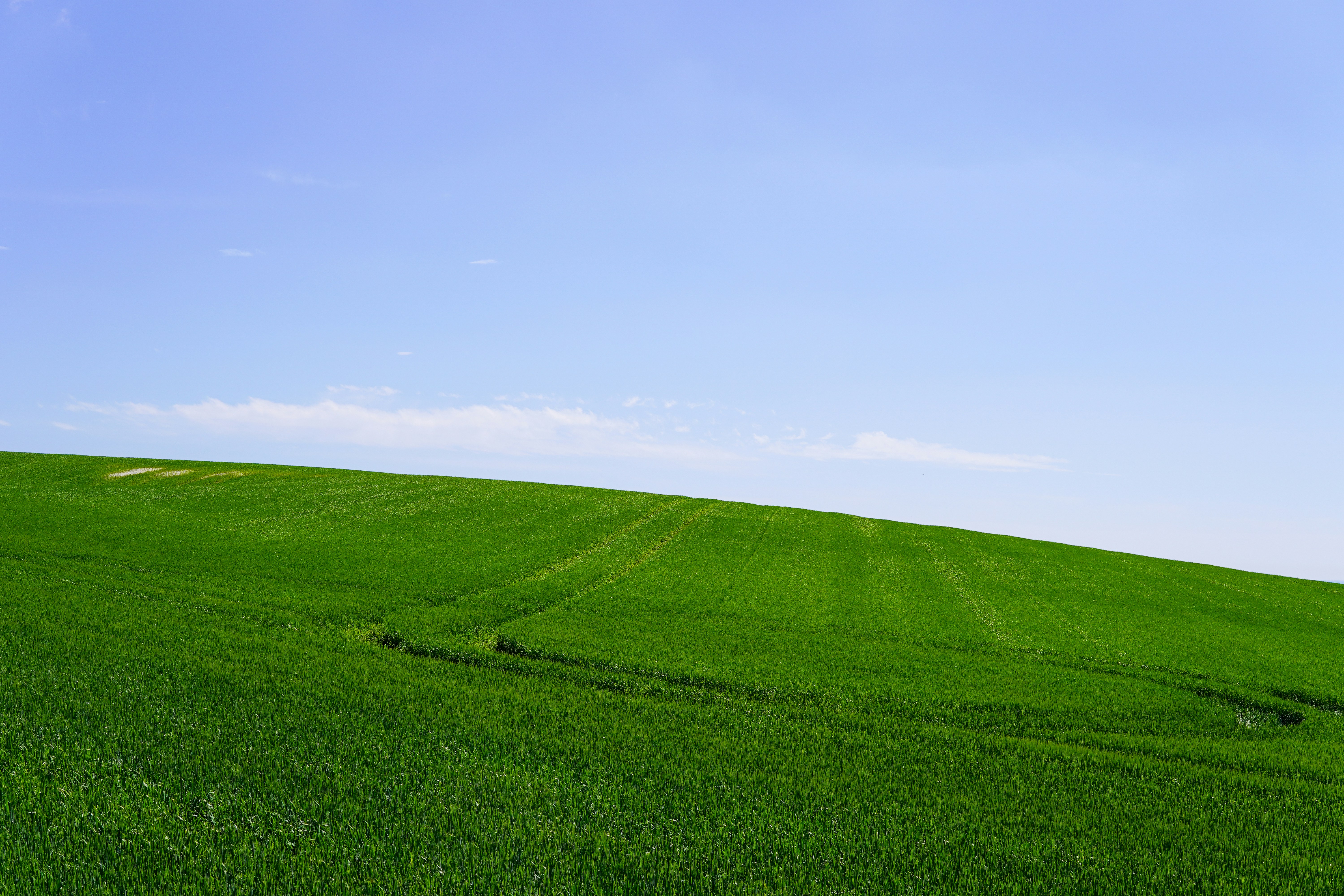 Uma colina gramada com um céu azul foto – Imagem grátis sobre Terra na ...