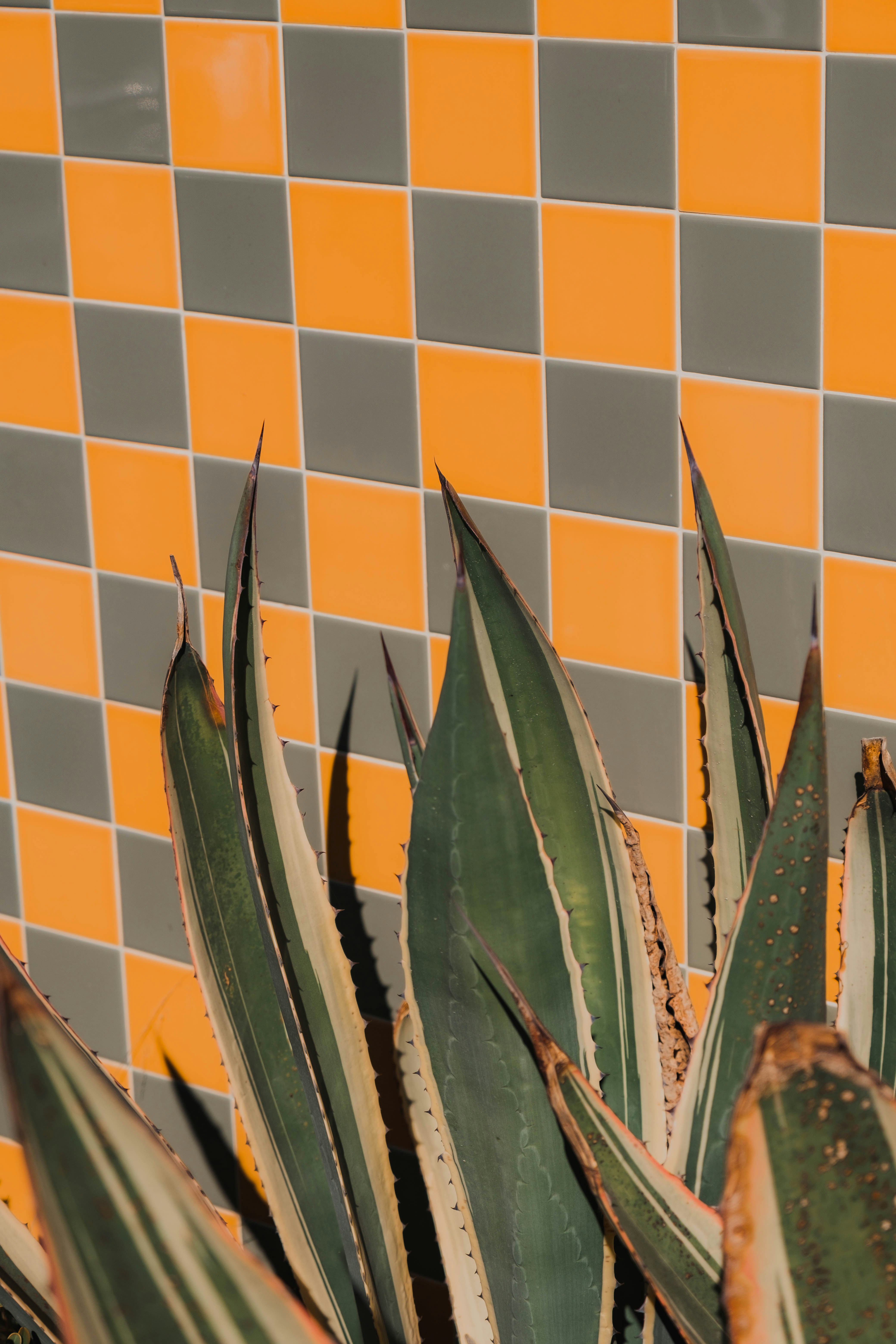 Edge of Green Against a Tangerine Tile Grid