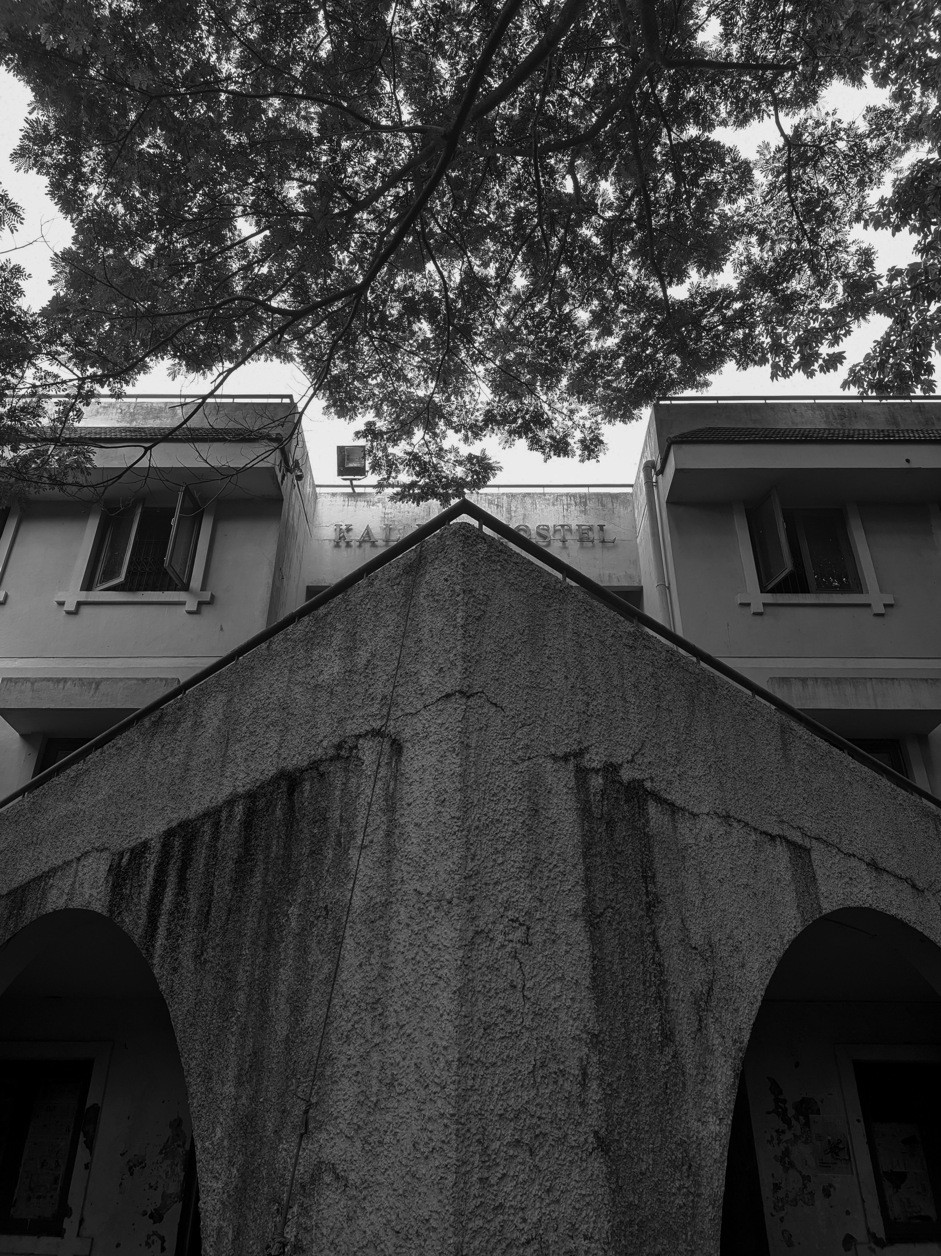 Foto Uma parede de concreto com uma árvore – Imagem de Arcitecture ...