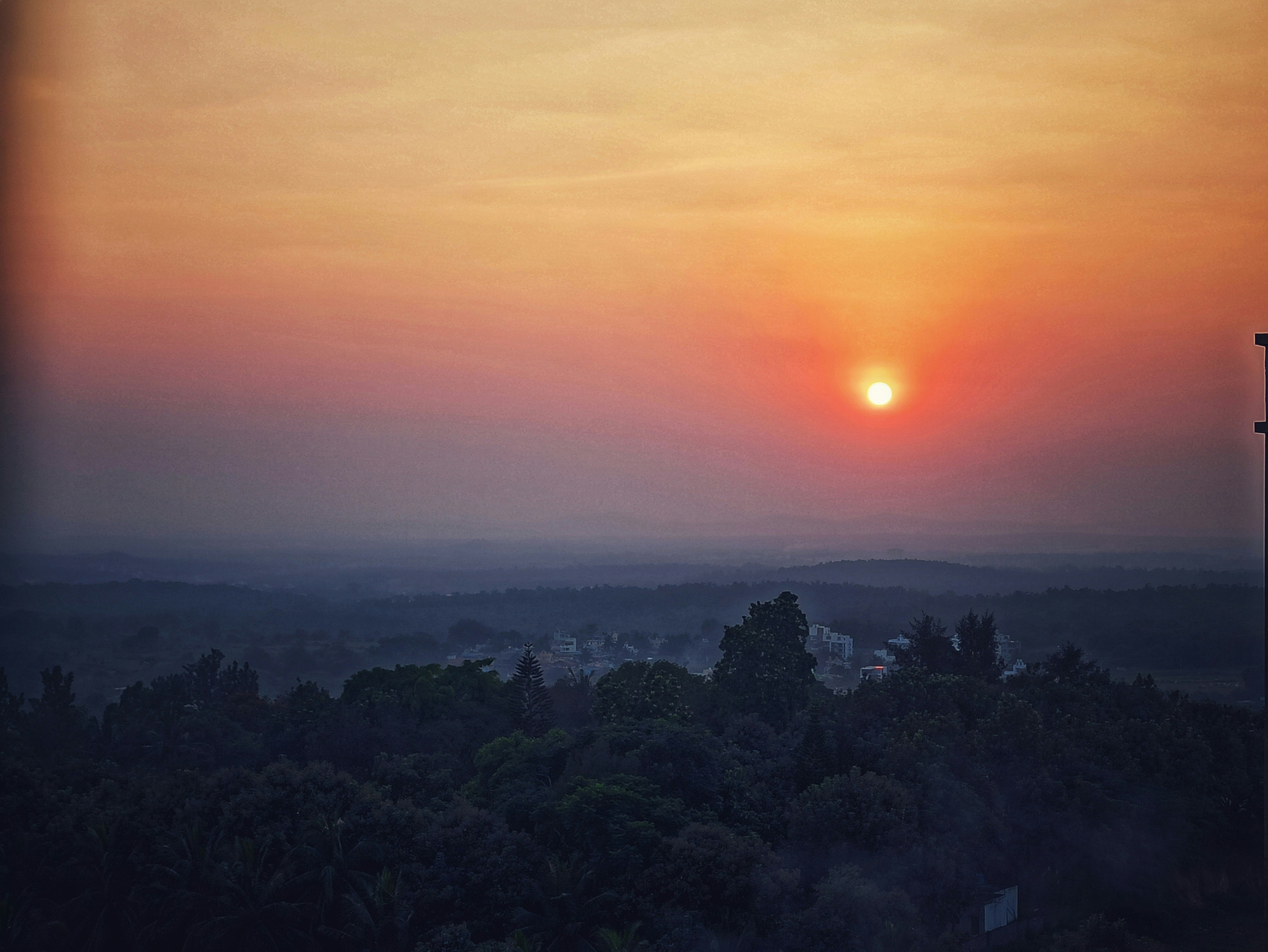 A sunset over a forest photo – Free Sunset aesthetic Image on Unsplash