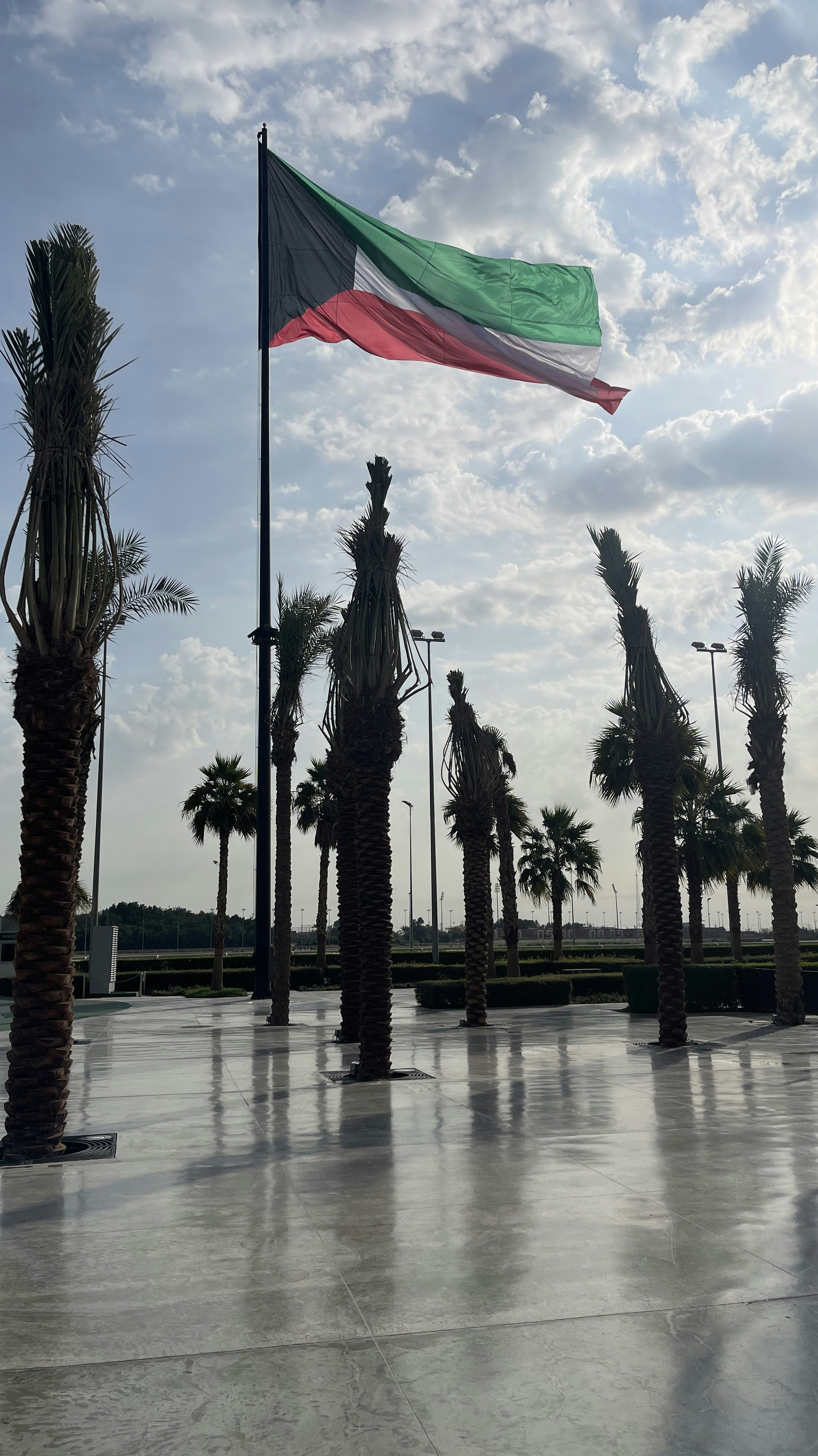 Kuwaiti Flag Unfurls Over a Palm-Lined Public Square in Full Sun