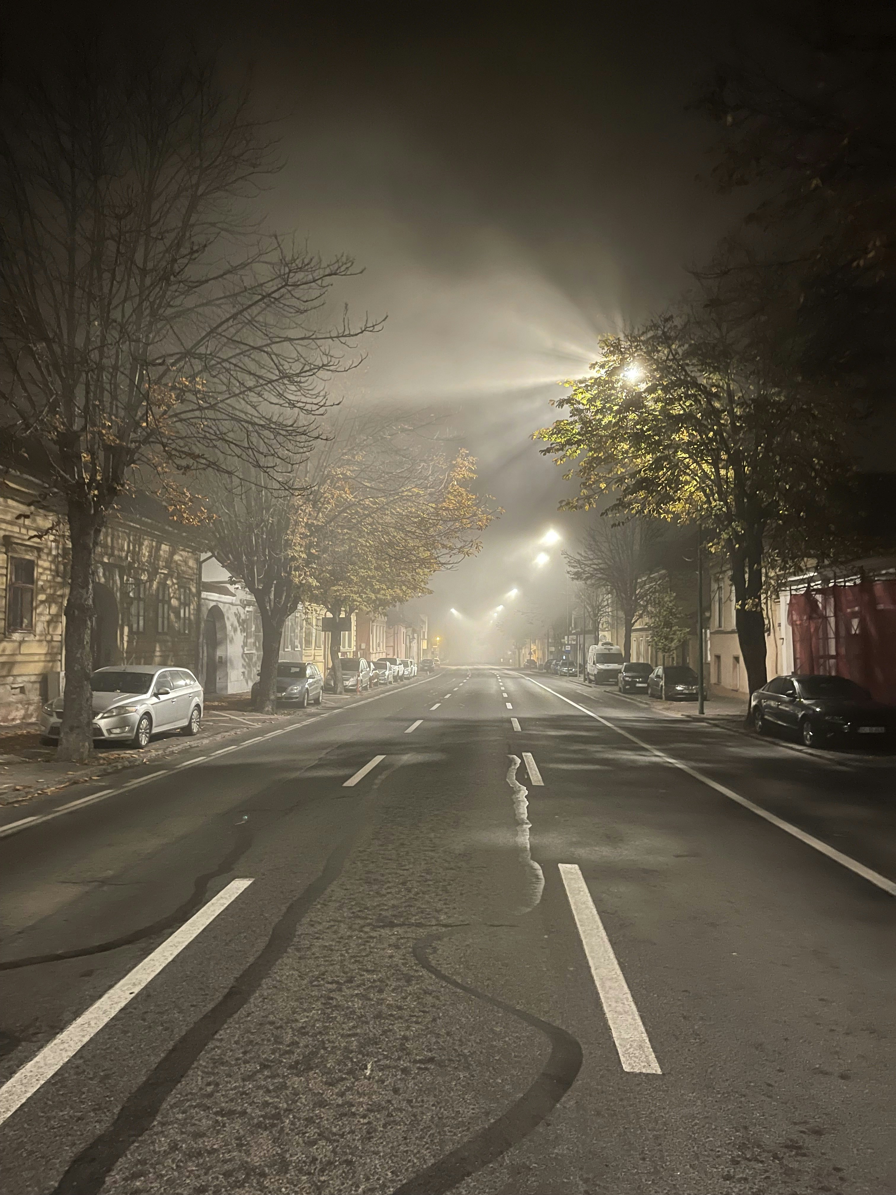 Claudiu Rusu (@theyflo) | Unsplash Photo Community