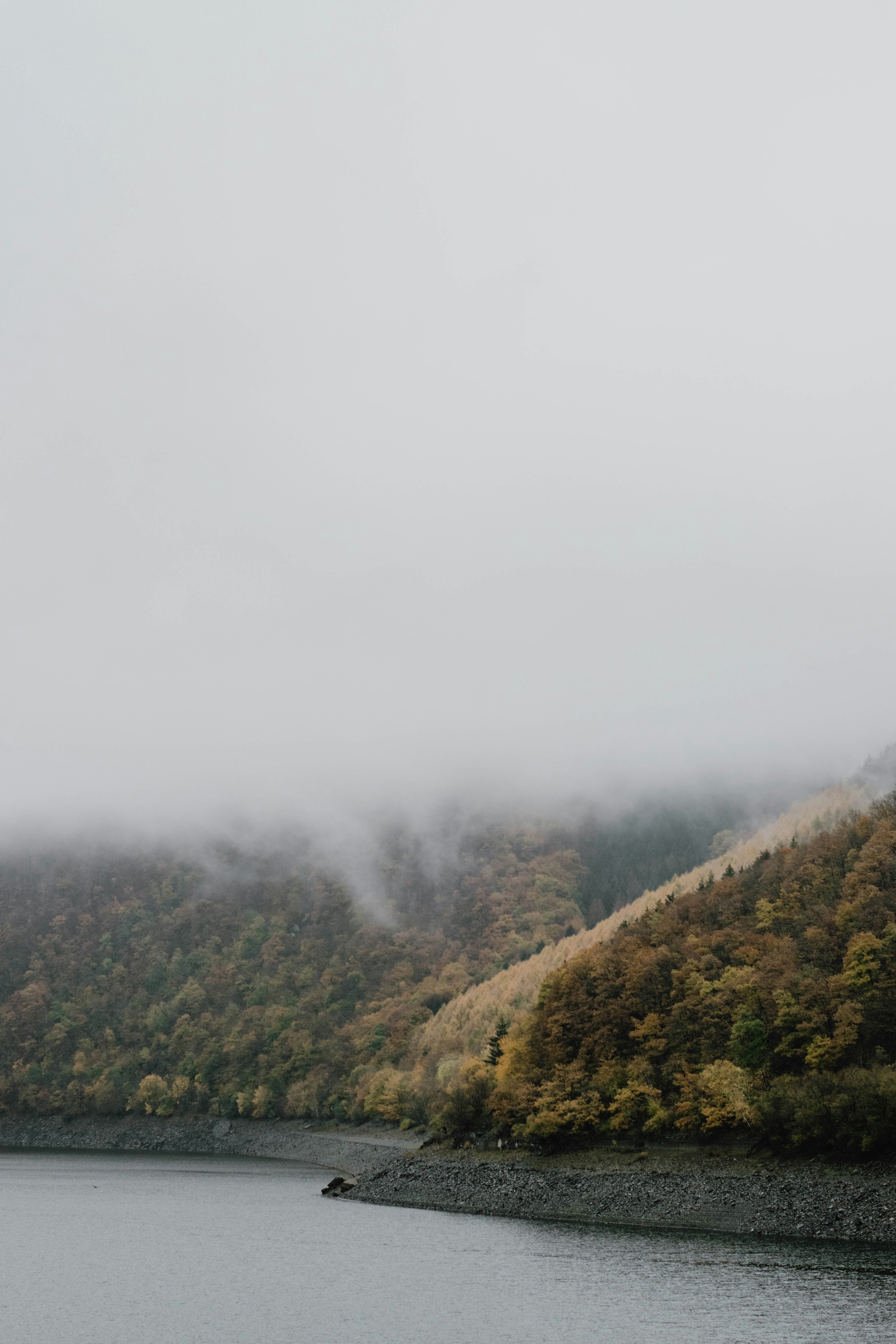 Photo by Mohamed Jamil Latrach with Nikon D3300